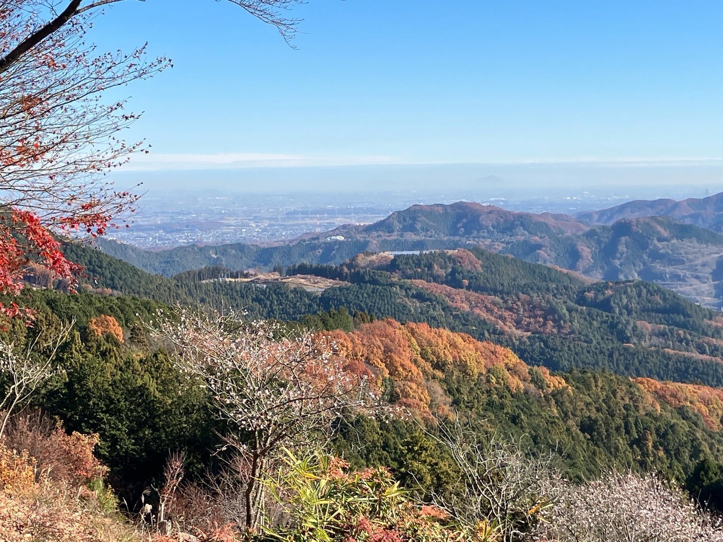 弁天山・桜山 / komaさんの金鑚御嶽山の活動データ | YAMAP / ヤマップ