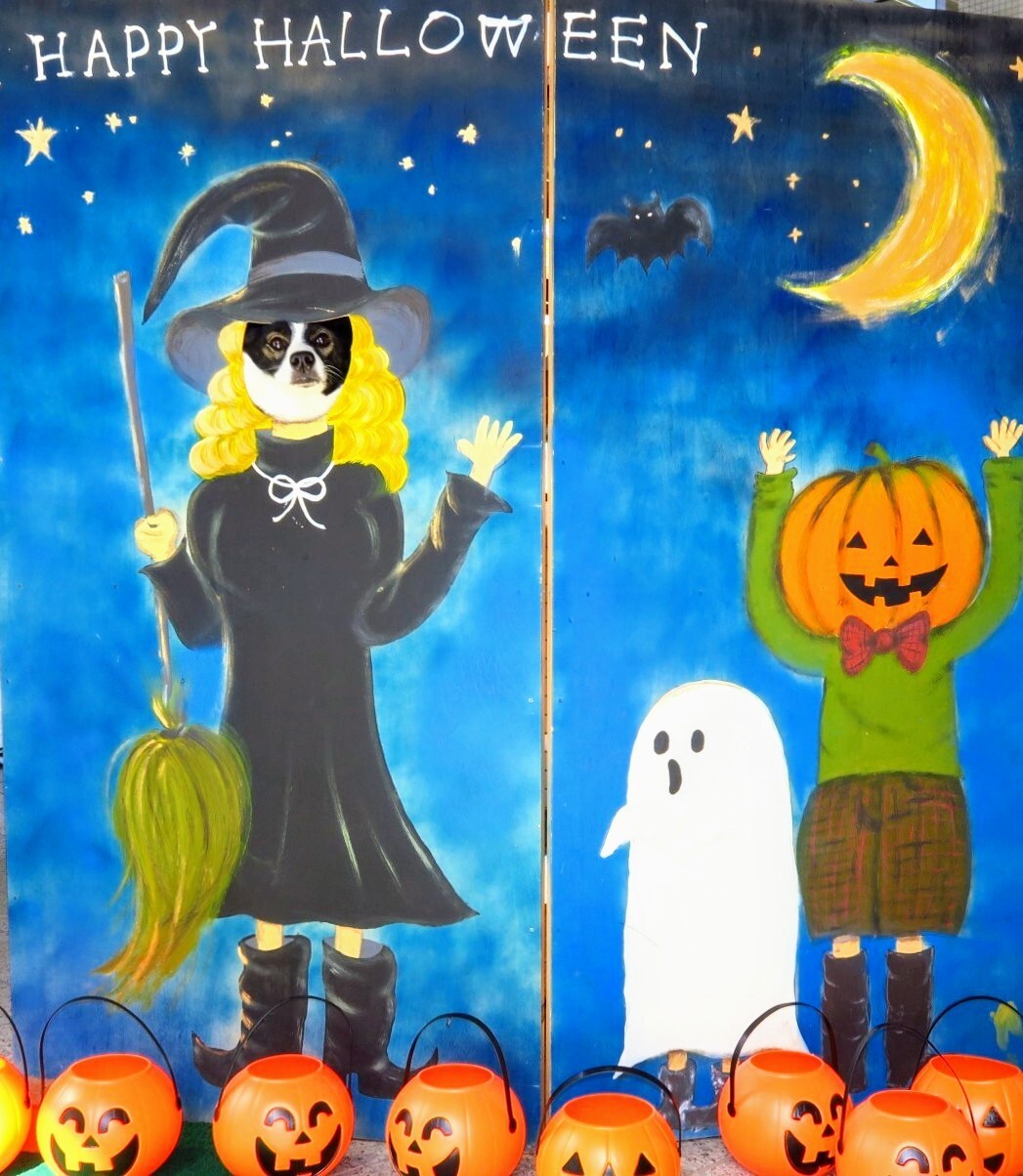 Unhappy Hello Wan 😅... / もみじ🐺パパ😎さんのモーメント | YAMAP / ヤマップ