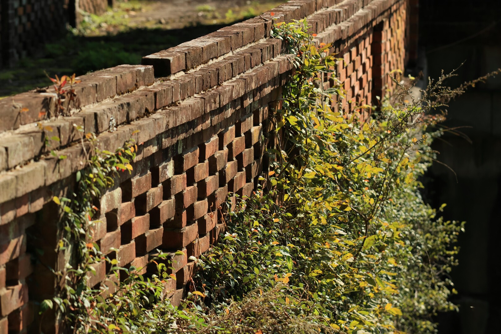 旧桂ヶ谷 貯水池堰堤 - 崩れゆく登録有形文化財 / R1さんのウォーキングの活動データ | YAMAP / ヤマップ