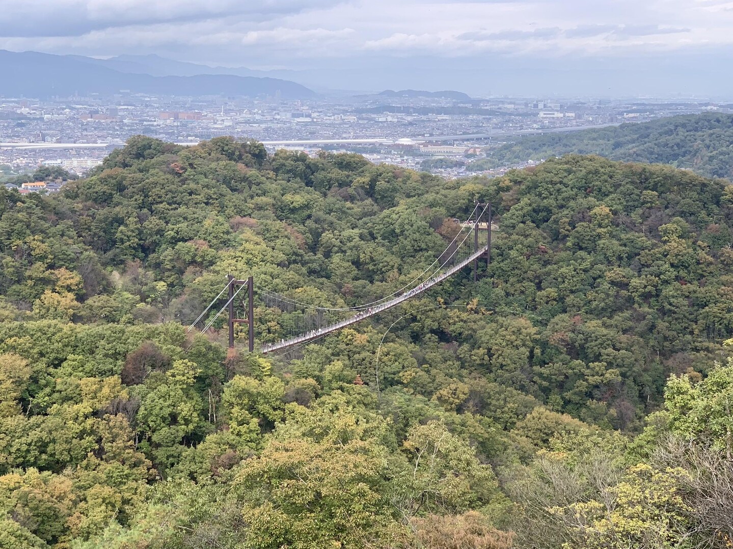 馬が嶺・日南山・白峯 / asamiさんの交野山・国見山の活動データ | YAMAP / ヤマップ