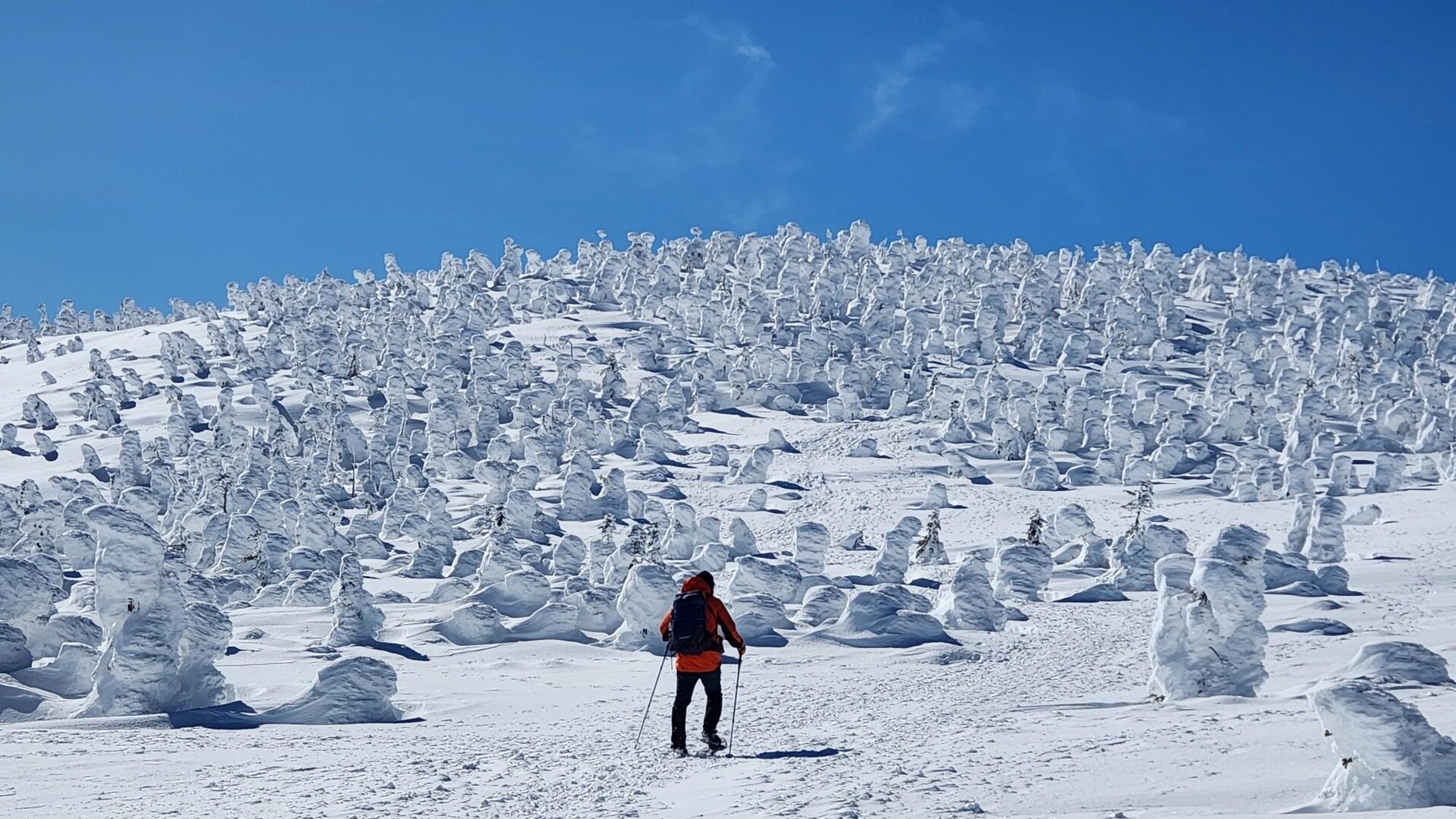 スノーモンスター見に『西吾妻山』 / tamuさんの吾妻山・一切経山の活動データ | YAMAP / ヤマップ