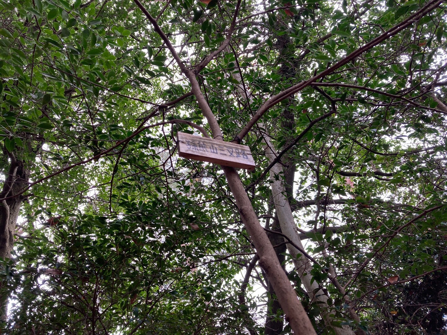 K.KAIさんの投稿したフィールドメモ | YAMAP / ヤマップ