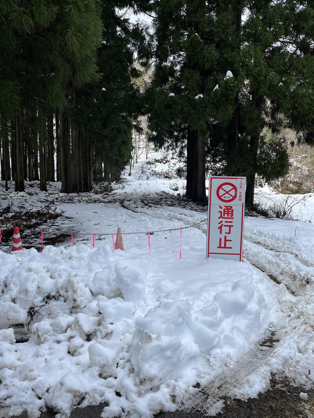 百里ヶ岳 / michiさんの雲洞谷山・白倉岳・鷹ヶ峰の活動データ | YAMAP / ヤマップ
