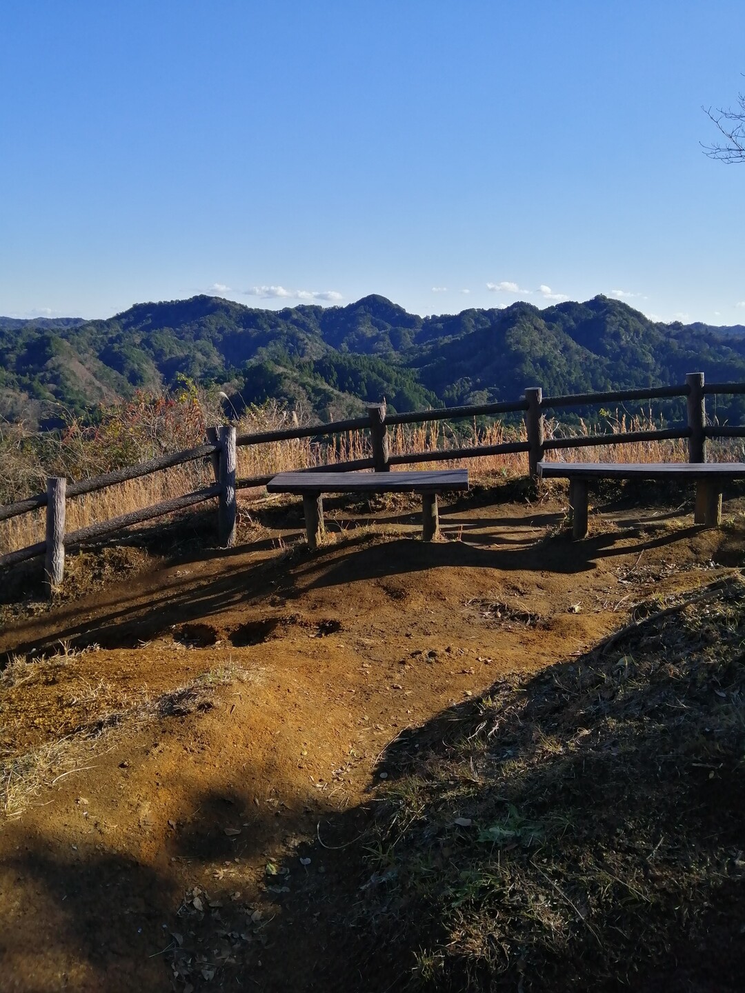 高宕山-2021-12-19 / きりHPさんのウォーキングの活動データ | YAMAP / ヤマップ