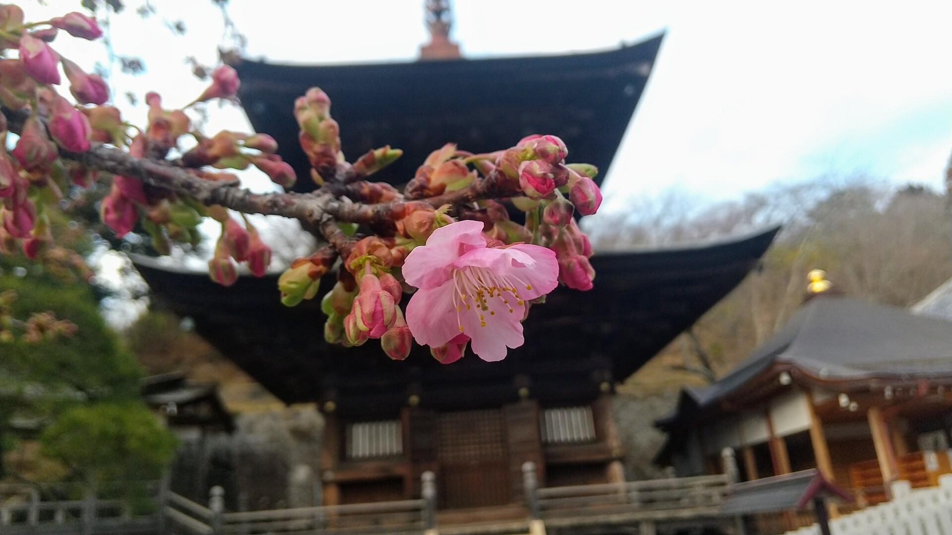 雨引山～御嶽山トレ🌸 -2024-02-17 / yujiさんの加波山・吾国山・難台山の活動データ | YAMAP / ヤマップ