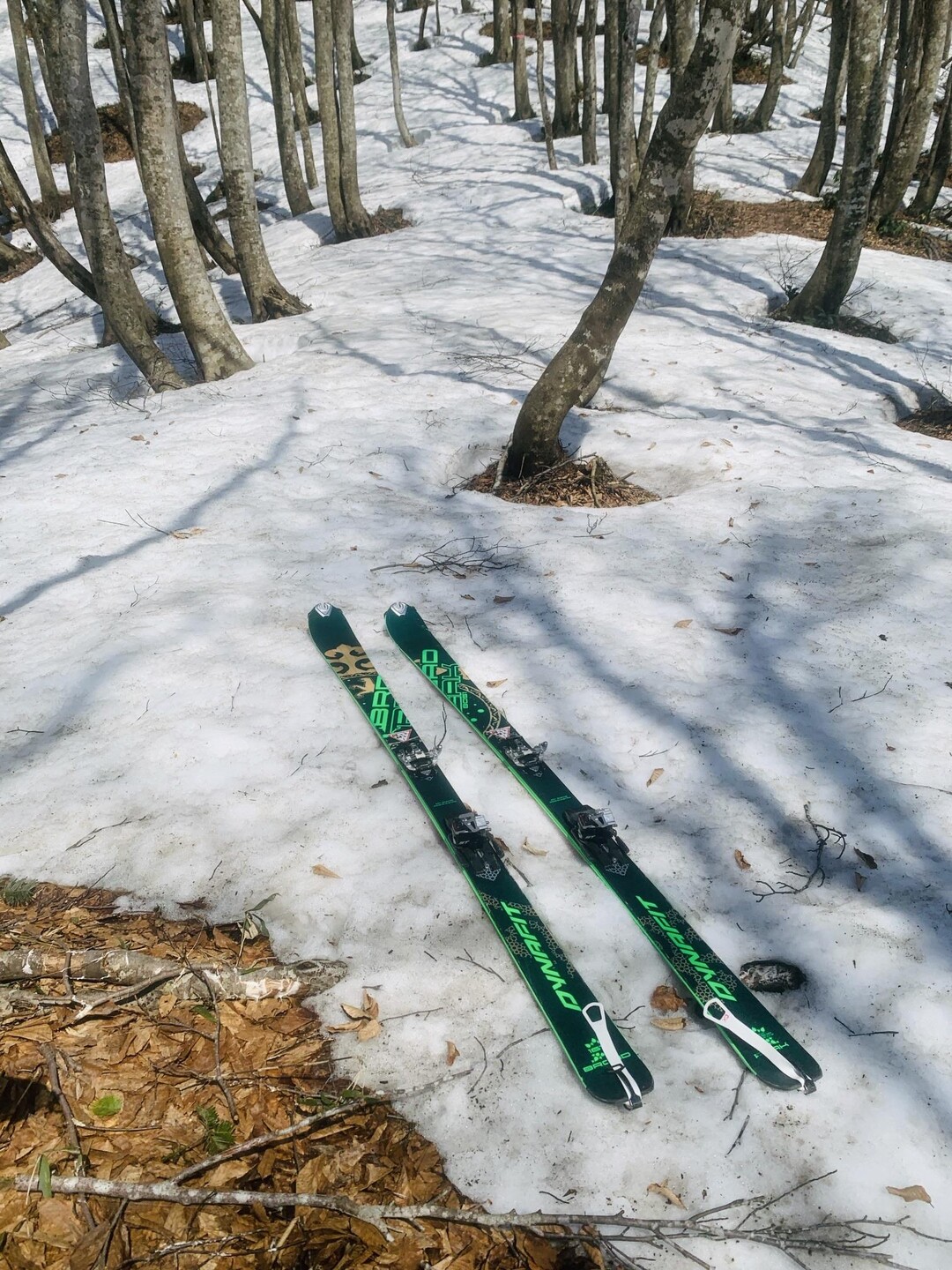 東岳BC、春を楽しみながら🌸 / ZAKUさんの東岳の活動データ | YAMAP / ヤマップ