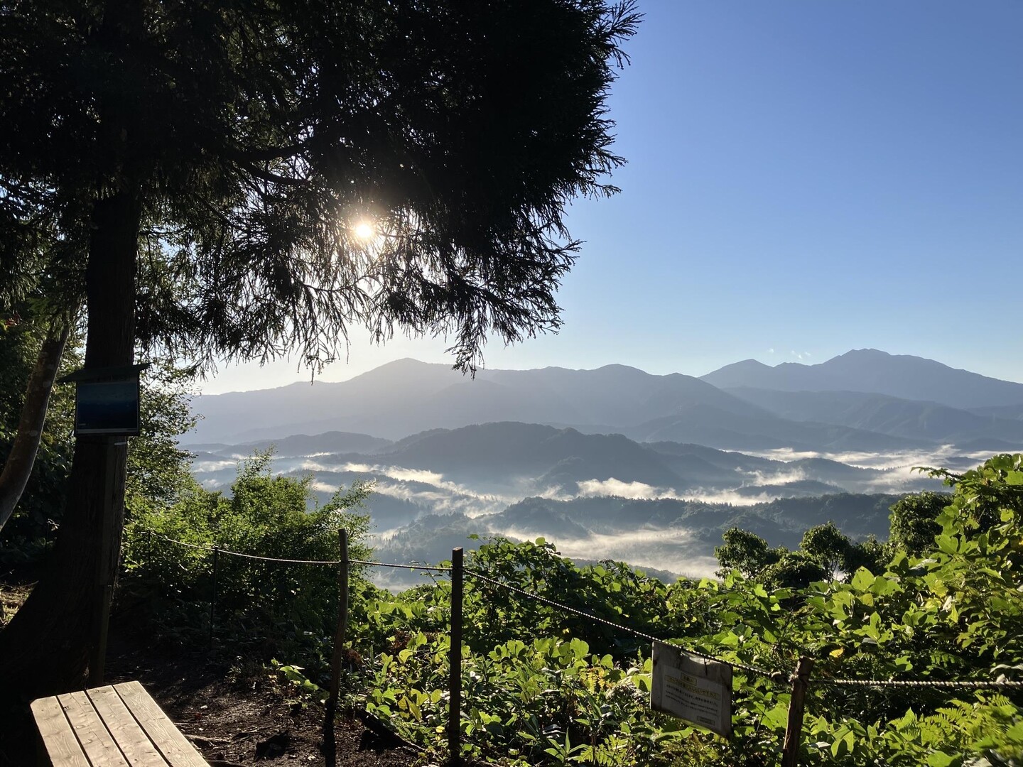 猿毛岳 AMの部 / GOH.さんの猿毛岳の活動データ | YAMAP / ヤマップ