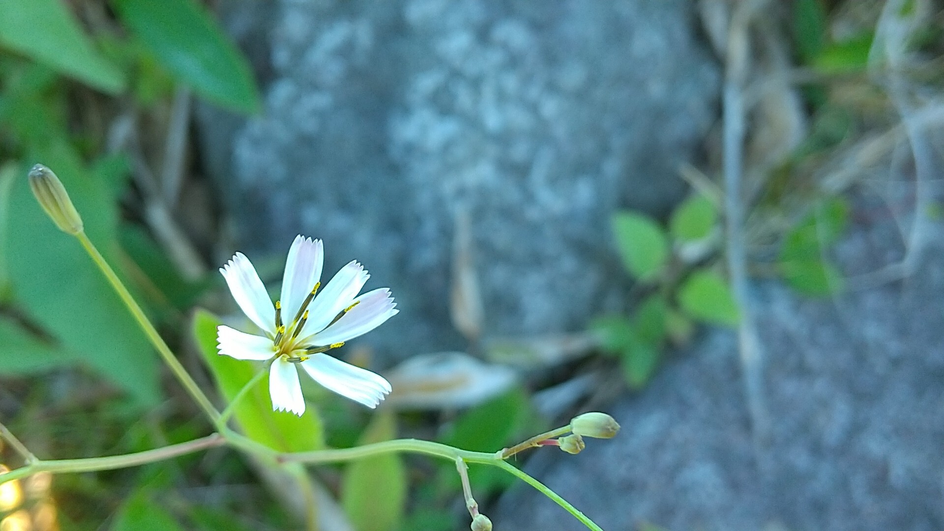 yokkoのページ | YAMAP / ヤマップ