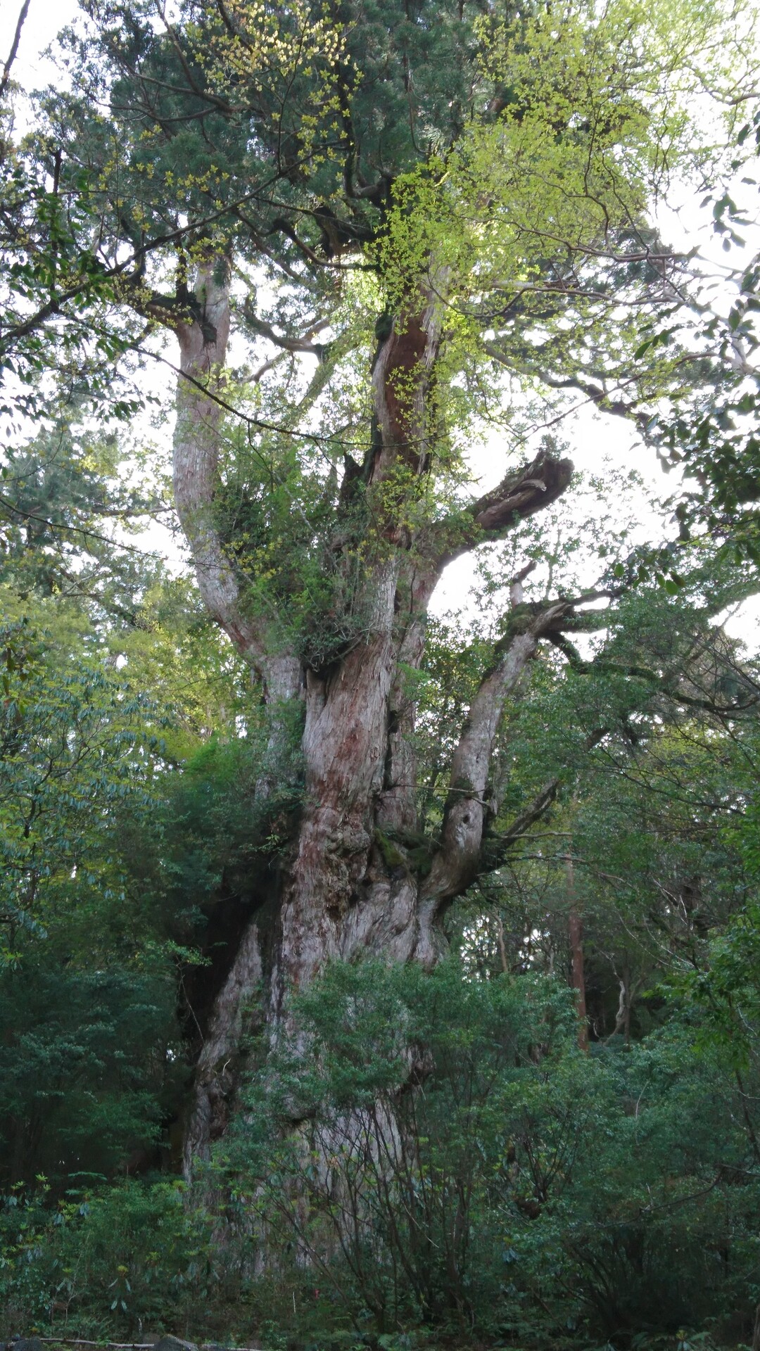 @toshisのページ | YAMAP / ヤマップ