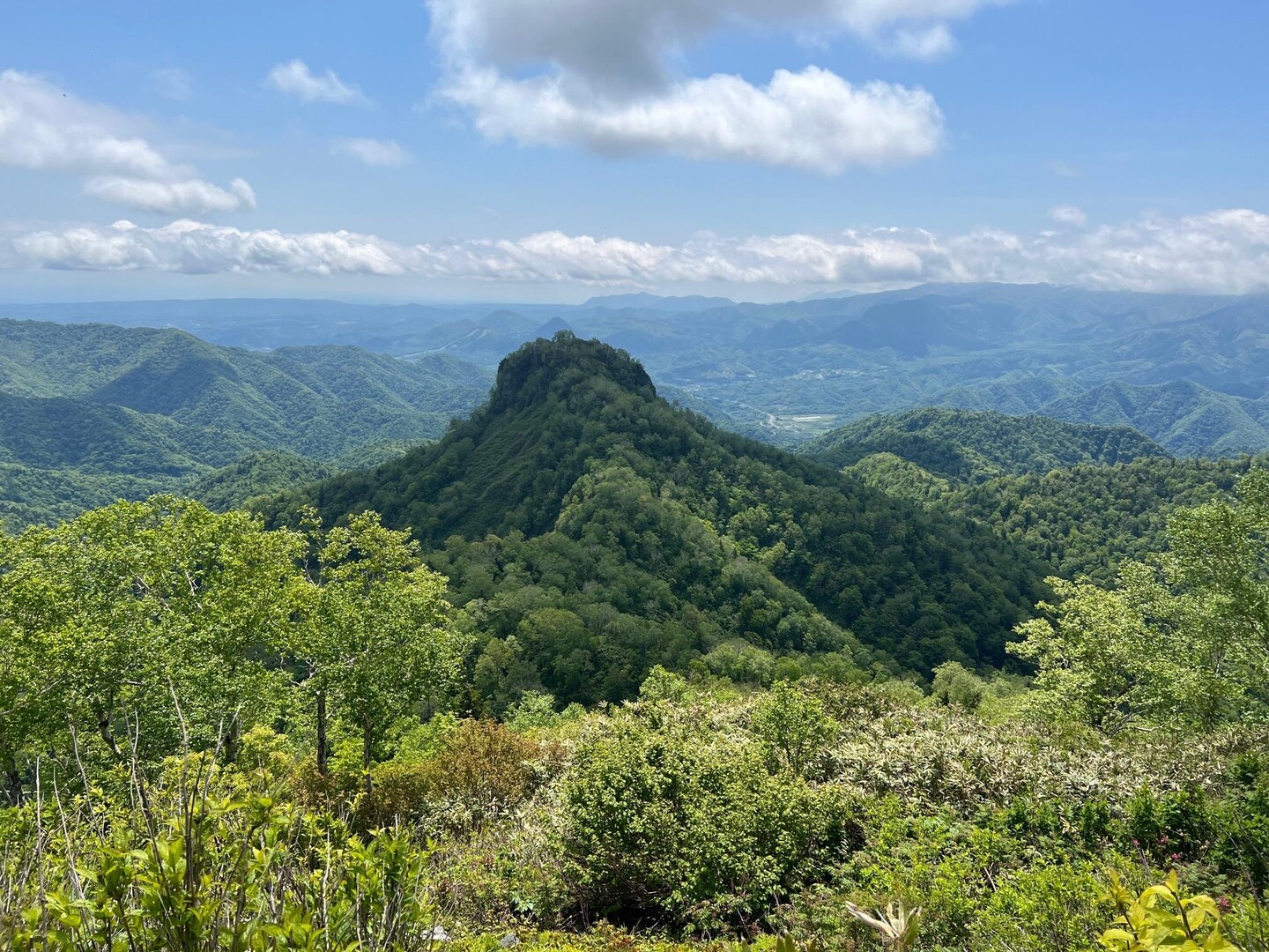 I want to say「Come&Evo」！ / ふみQさんの神威岳の活動データ | YAMAP / ヤマップ