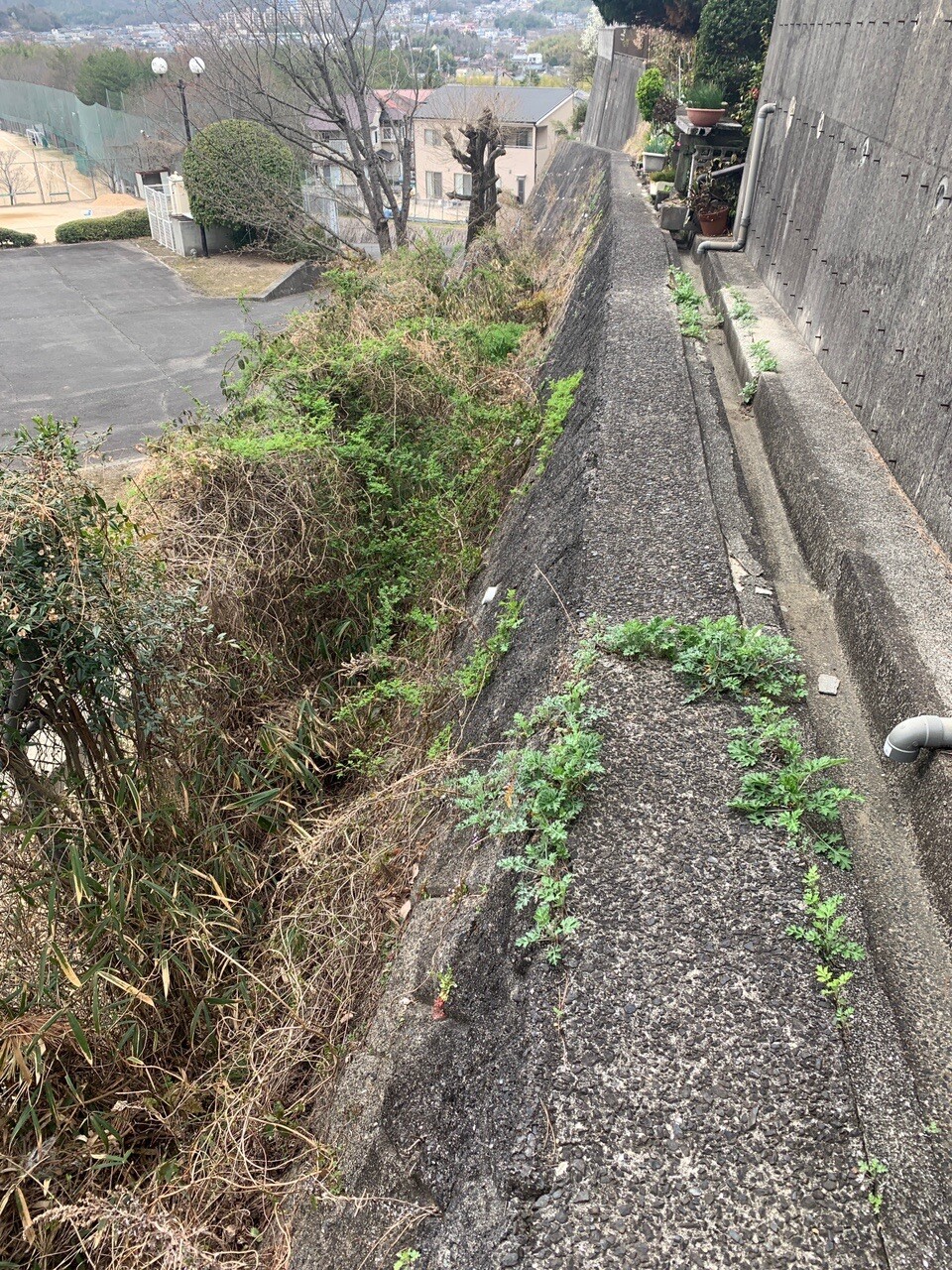 syupyさんの投稿したフィールドメモ | YAMAP / ヤマップ