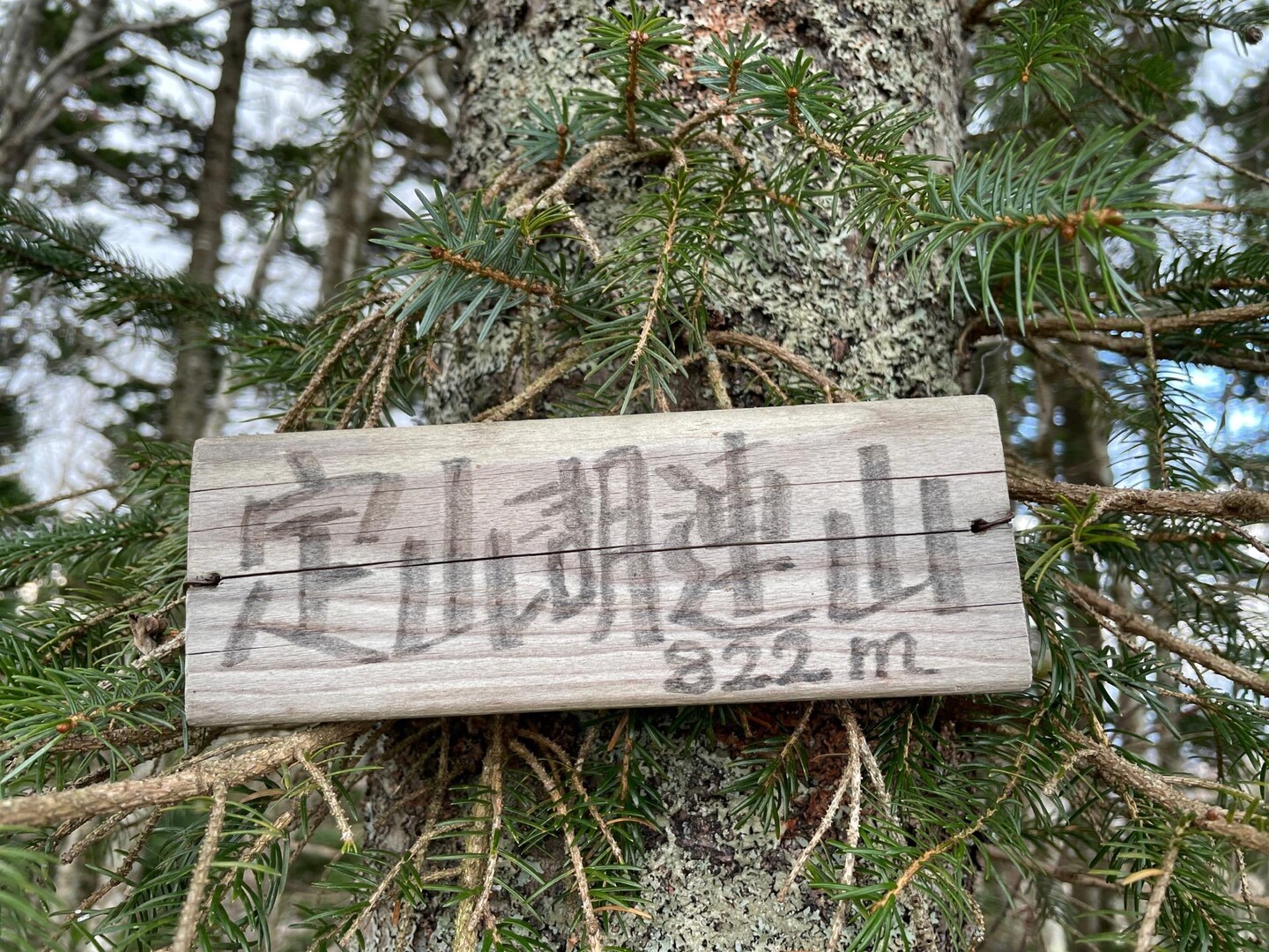 新ランドマークの定山湖連山(古道を使って) / 島ちゃん(島.RC)🌈さんの札幌岳・空沼岳の活動日記 | YAMAP / ヤマップ