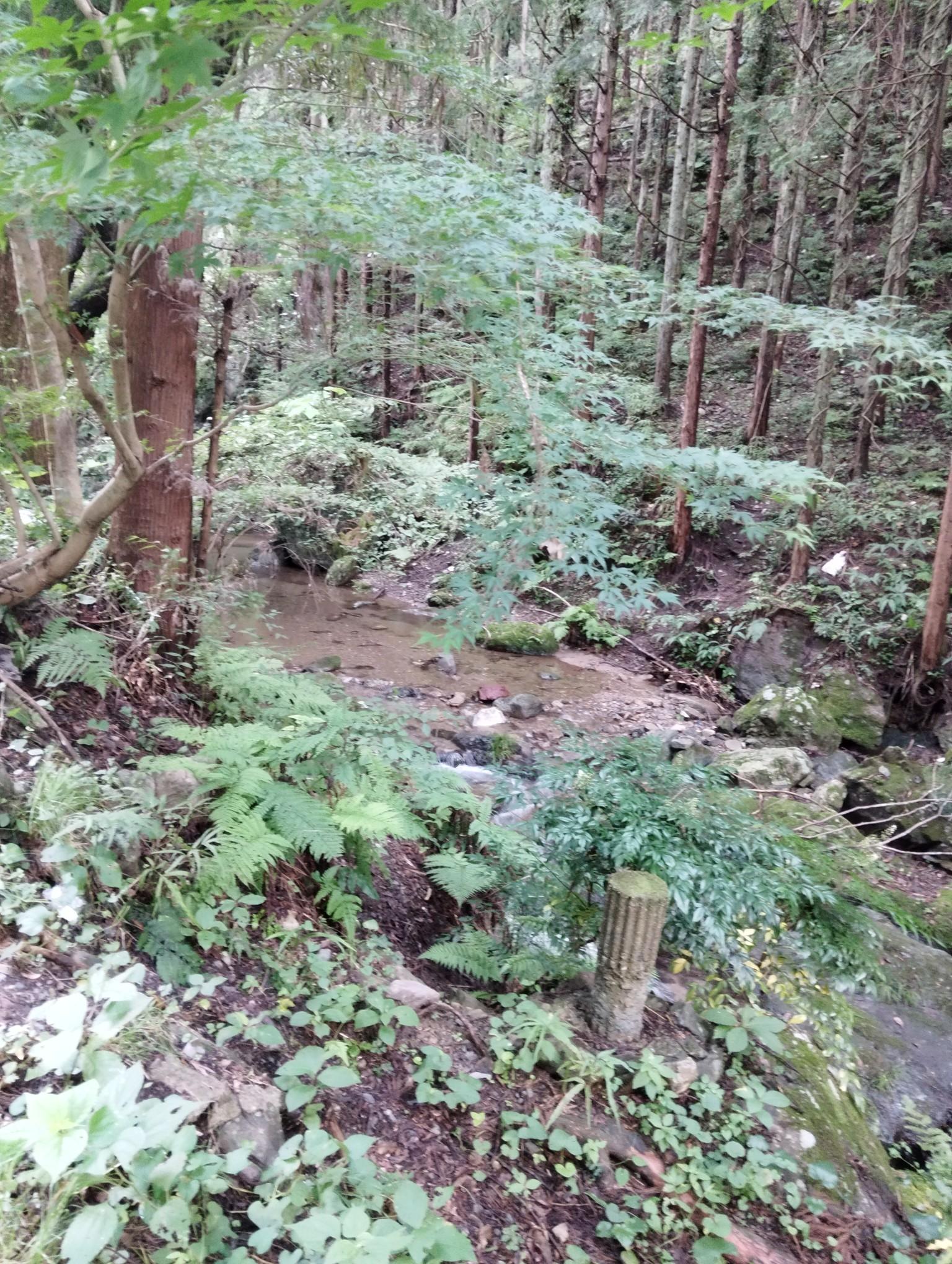 黒山三滝で滝行をしてきました🏞️ 心身... / のりさんのモーメント | YAMAP / ヤマップ