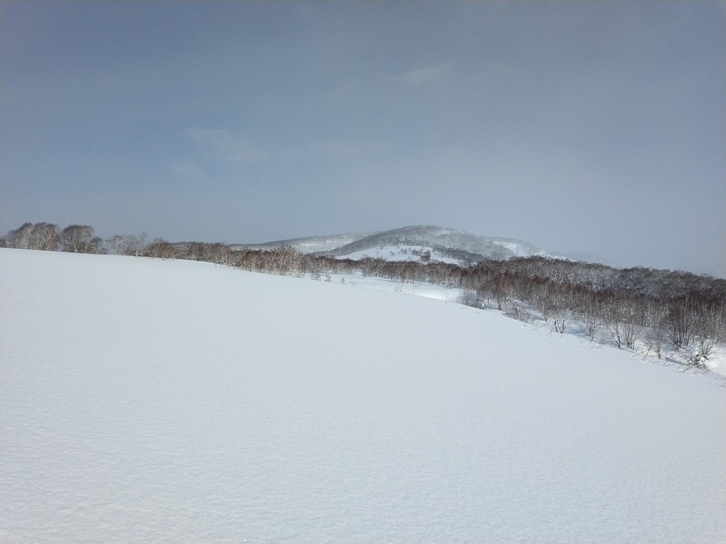 西昆布岳スキー / tosiさんの昆布岳・西昆布岳の活動日記 | YAMAP / ヤマップ