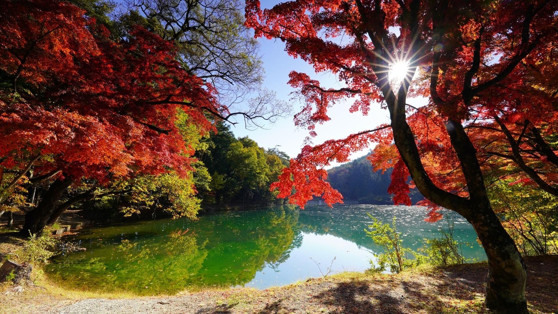 伊奈ヶ湖-2023-11-04 / uchidamaさんのウォーキングの活動データ | YAMAP / ヤマップ