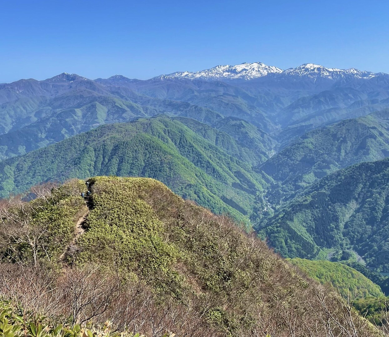 荒島岳 / Yossyさんの荒島岳の活動データ | YAMAP / ヤマップ