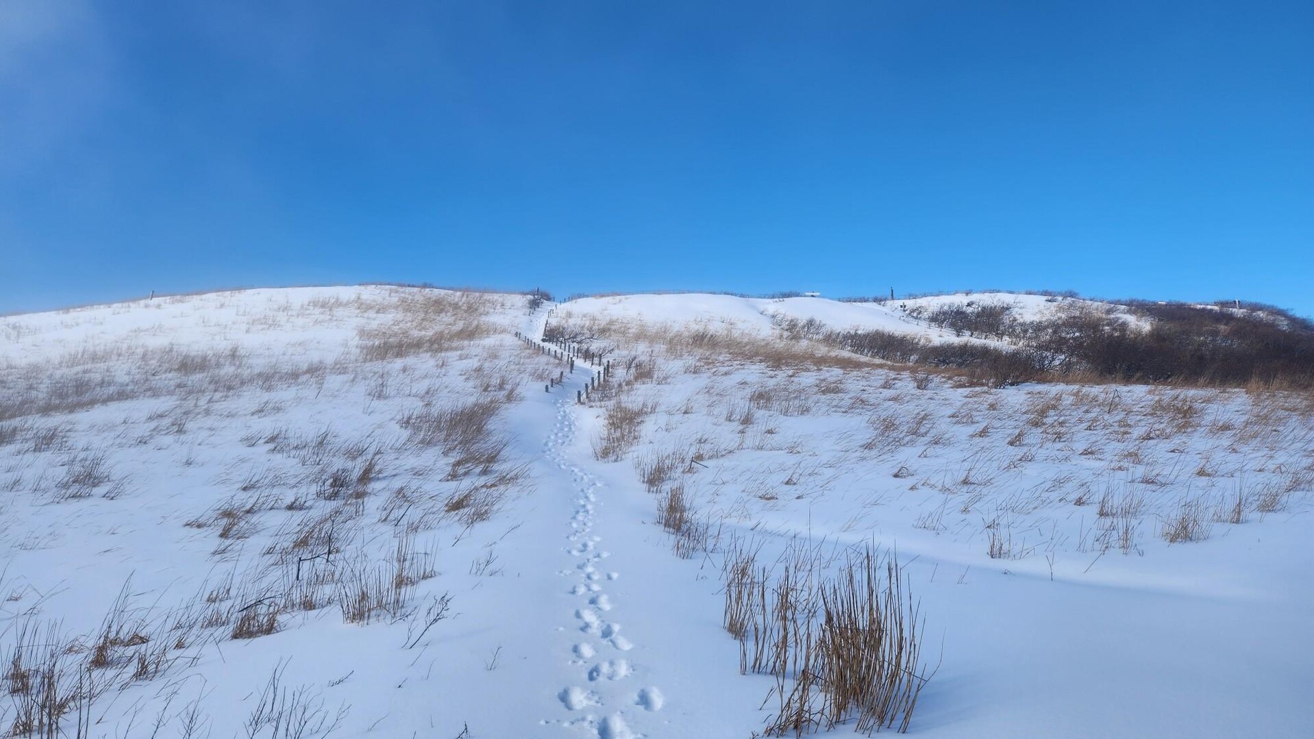 三瓶山ぐるっと / 𝕐𝕦𝕕𝕒𝕚さんの三瓶山・大平山の活動データ | YAMAP / ヤマップ