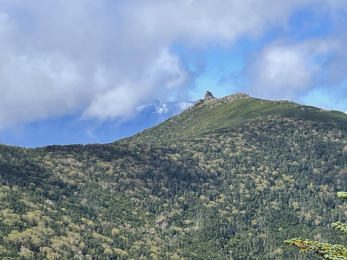 朝日岳・金峰山ピストン（子連れ） / mutsukoさんのウォーキングの活動データ | YAMAP / ヤマップ