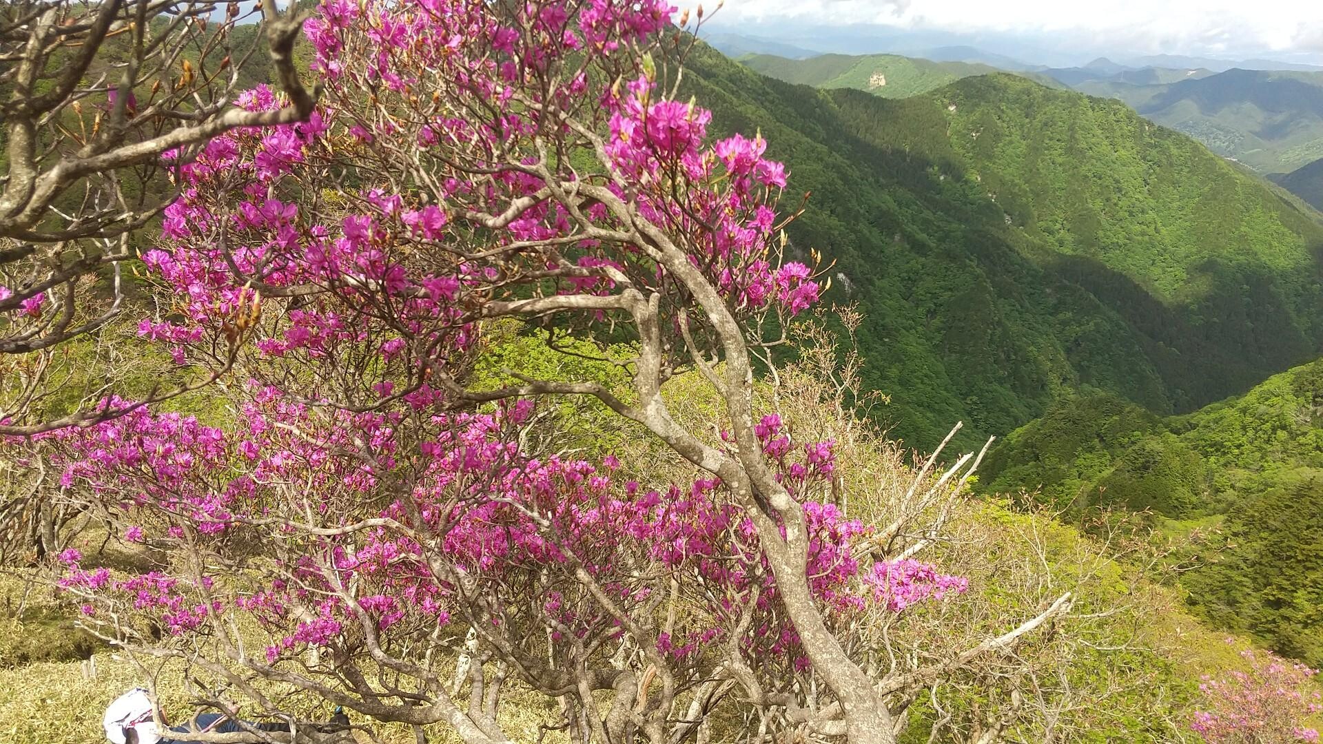 ShinjiHさんの投稿したフィールドメモ | YAMAP / ヤマップ