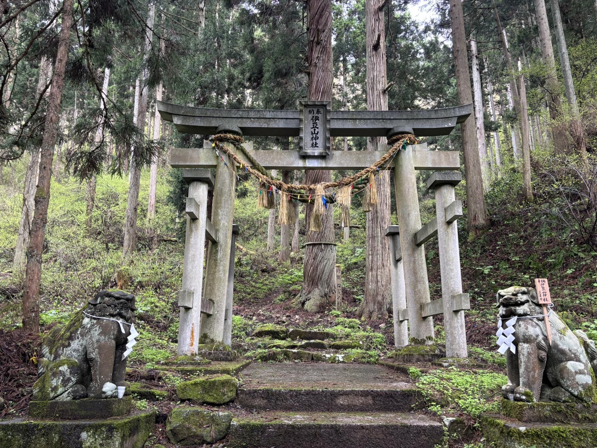 伊豆山・神宮寺岳・大平山 (姫神山) / mt.ryuさんの大平山の活動データ | YAMAP / ヤマップ