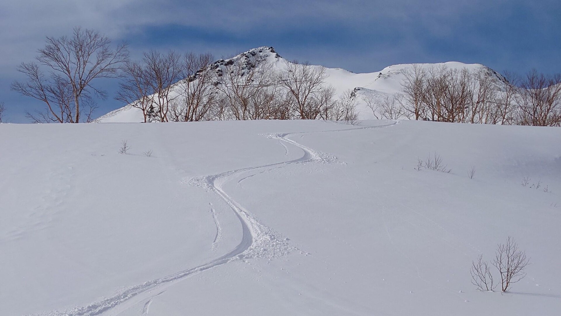 乗鞍岳BCスキー 位ヶ原-2024-01-11 / mc40さんの乗鞍岳の活動データ | YAMAP / ヤマップ