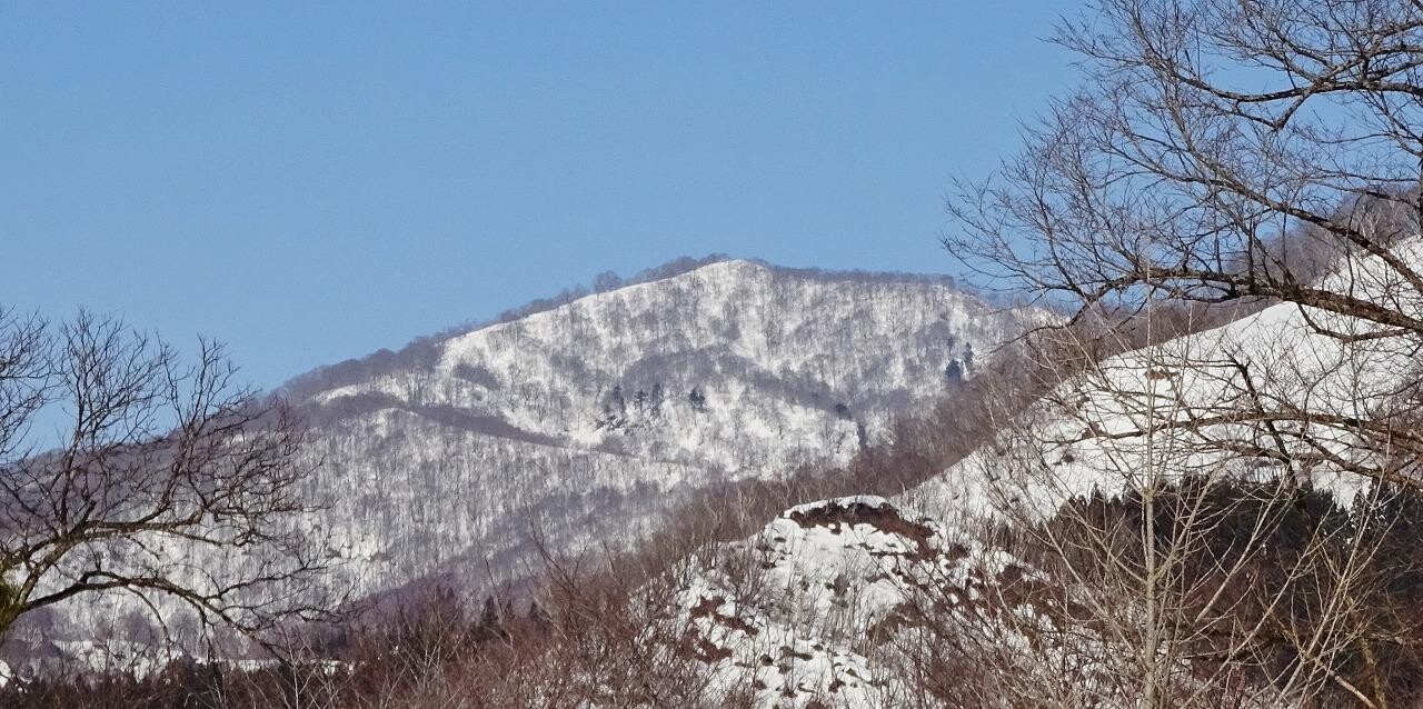 白太郎山の思い出 2016年3月17（土） / ウヅラさんの登山の活動データ | YAMAP / ヤマップ
