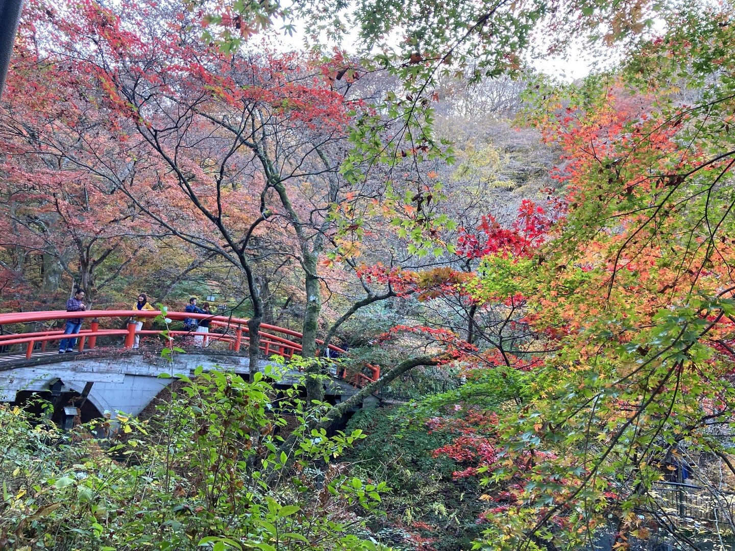 昼トレ🚶水澤山〜河鹿橋偵察🍁Part 2 / コニーさんの榛名山・天狗山・天目山の活動データ | YAMAP / ヤマップ