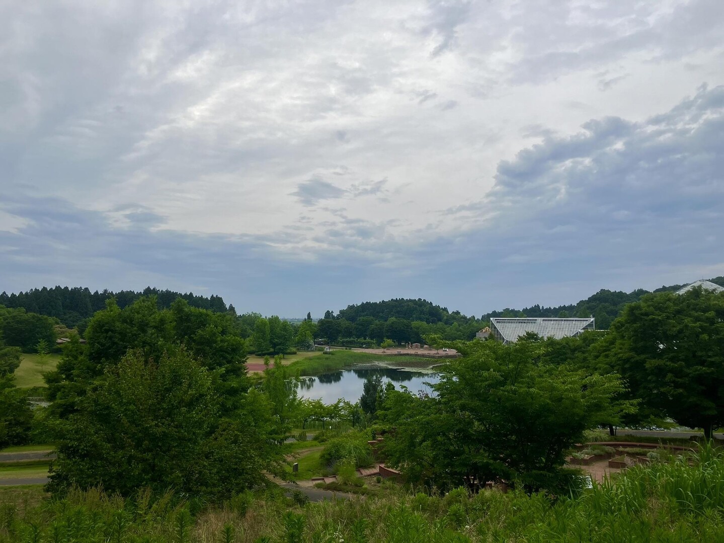 梅雨空☁️ ︎県立植物園 / Naluさんの菩提寺山・高立山・護摩堂山の活動データ | YAMAP / ヤマップ