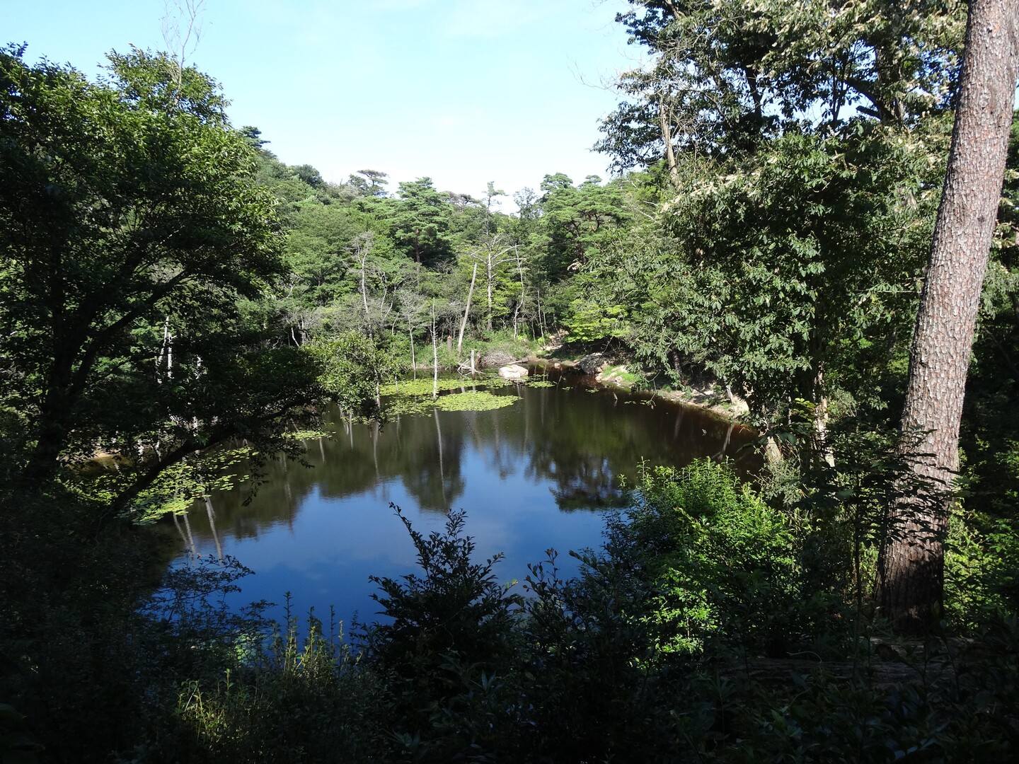 西お多福山・六甲山頂・蛇谷北山・東お多福山 / FUKUさんの六甲山・長峰山・摩耶山の活動データ | YAMAP / ヤマップ