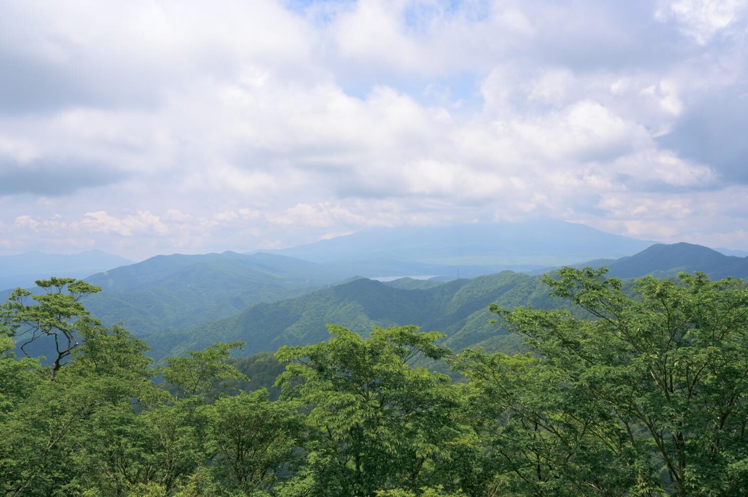 鳥ノ胸山・南峰・雑木ノ頭・平指山・大界木山・城ヶ尾山・中ノ丸・ブナ沢の頭・菰釣山 / vlog_tottiyさんの大室山・畦ヶ丸山・菰釣山の活動データ | YAMAP / ヤマップ