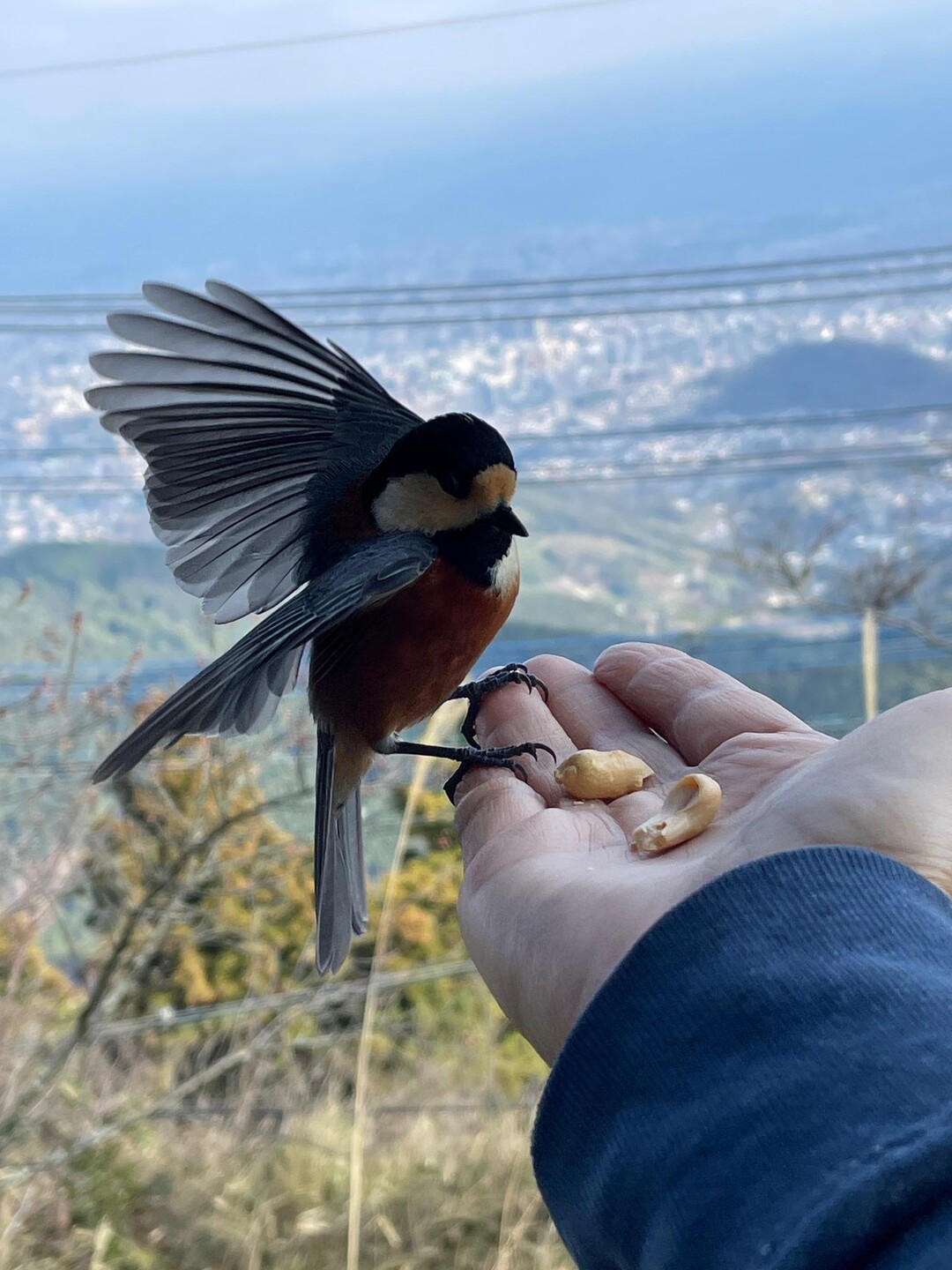 金峰山-2024-02-25 / michuさんの登山の活動日記 | YAMAP / ヤマップ