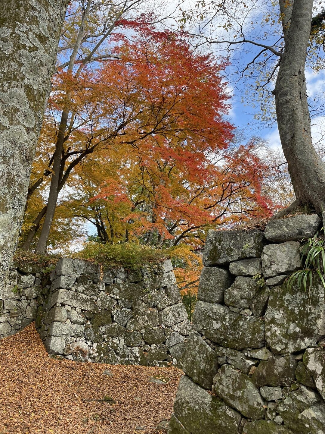 初めての高取山&日本百名城 / kooさんの高取山の活動データ | YAMAP / ヤマップ