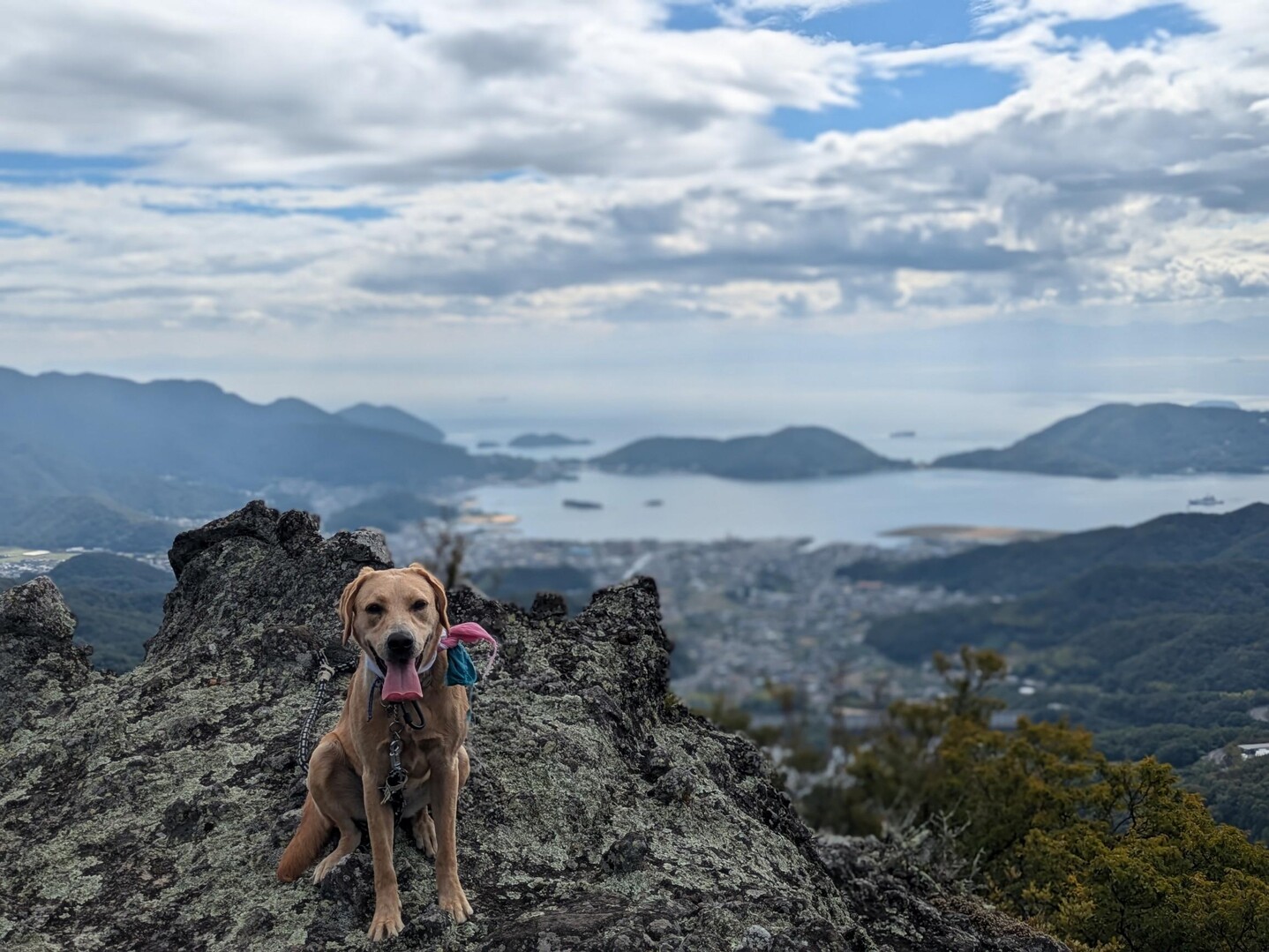 【VR】小豆島 玉筍峯・星ヶ城山 / meさんの小豆島・星ヶ城山・皇踏山の活動データ | YAMAP / ヤマップ