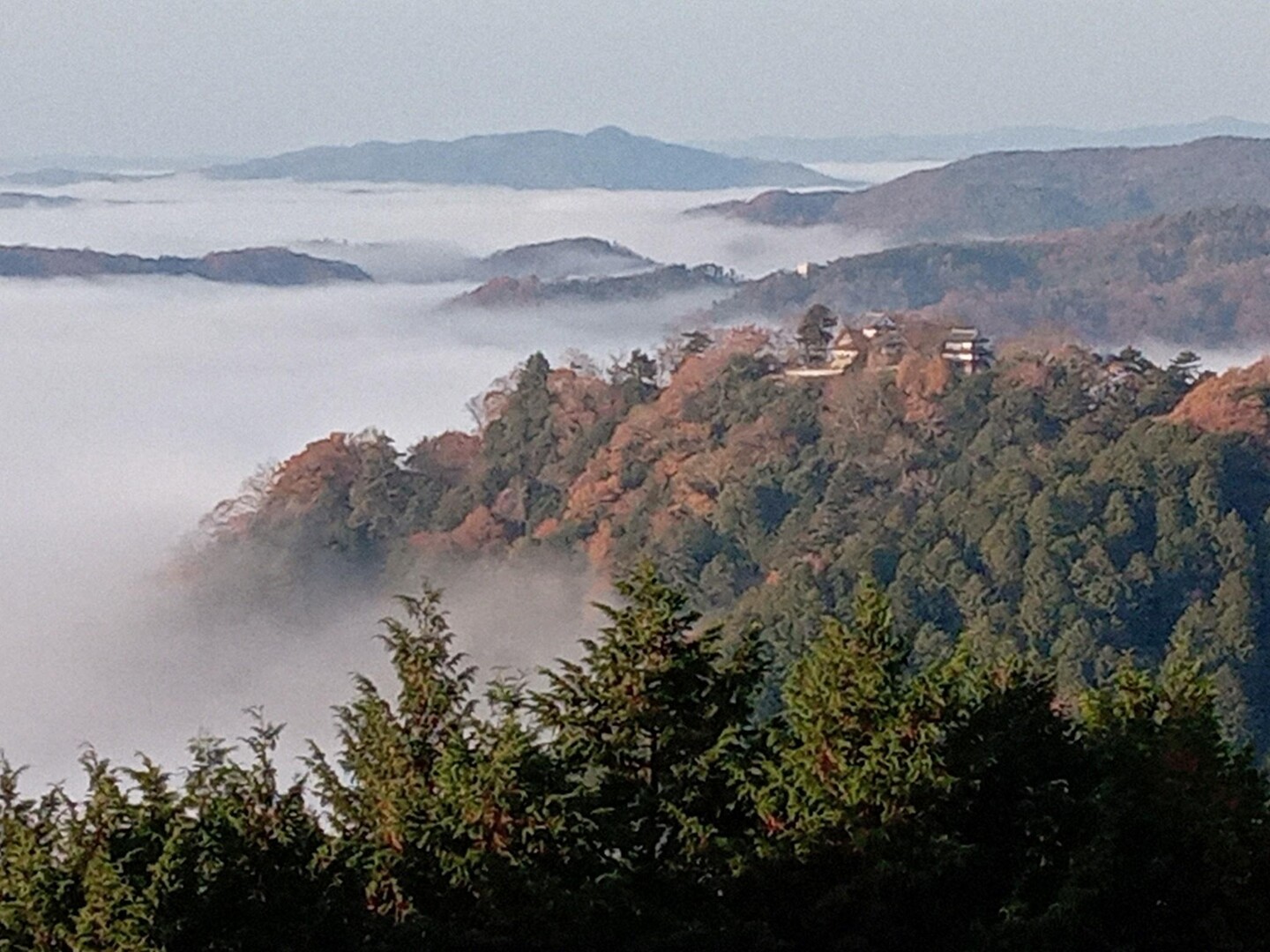 早朝散歩の雲海の松山城(臥牛山)2022.11.22 / やまあらしさんの備中松山城の活動データ | YAMAP / ヤマップ