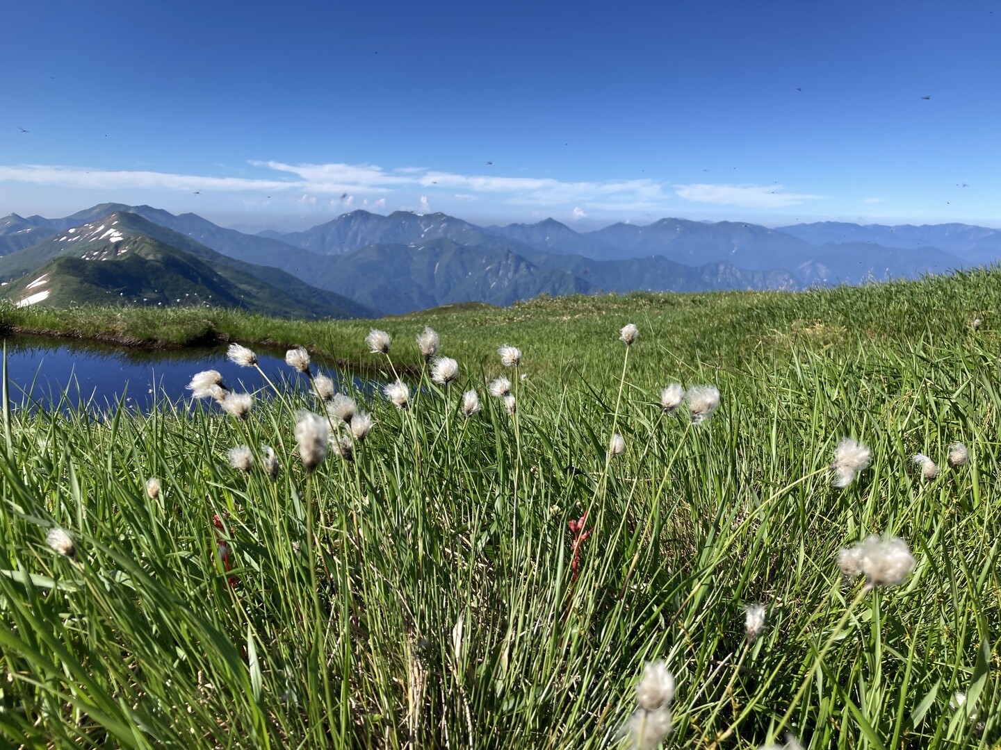 巻機山 / wirryさんの巻機山・割引岳・金城山の活動データ | YAMAP / ヤマップ