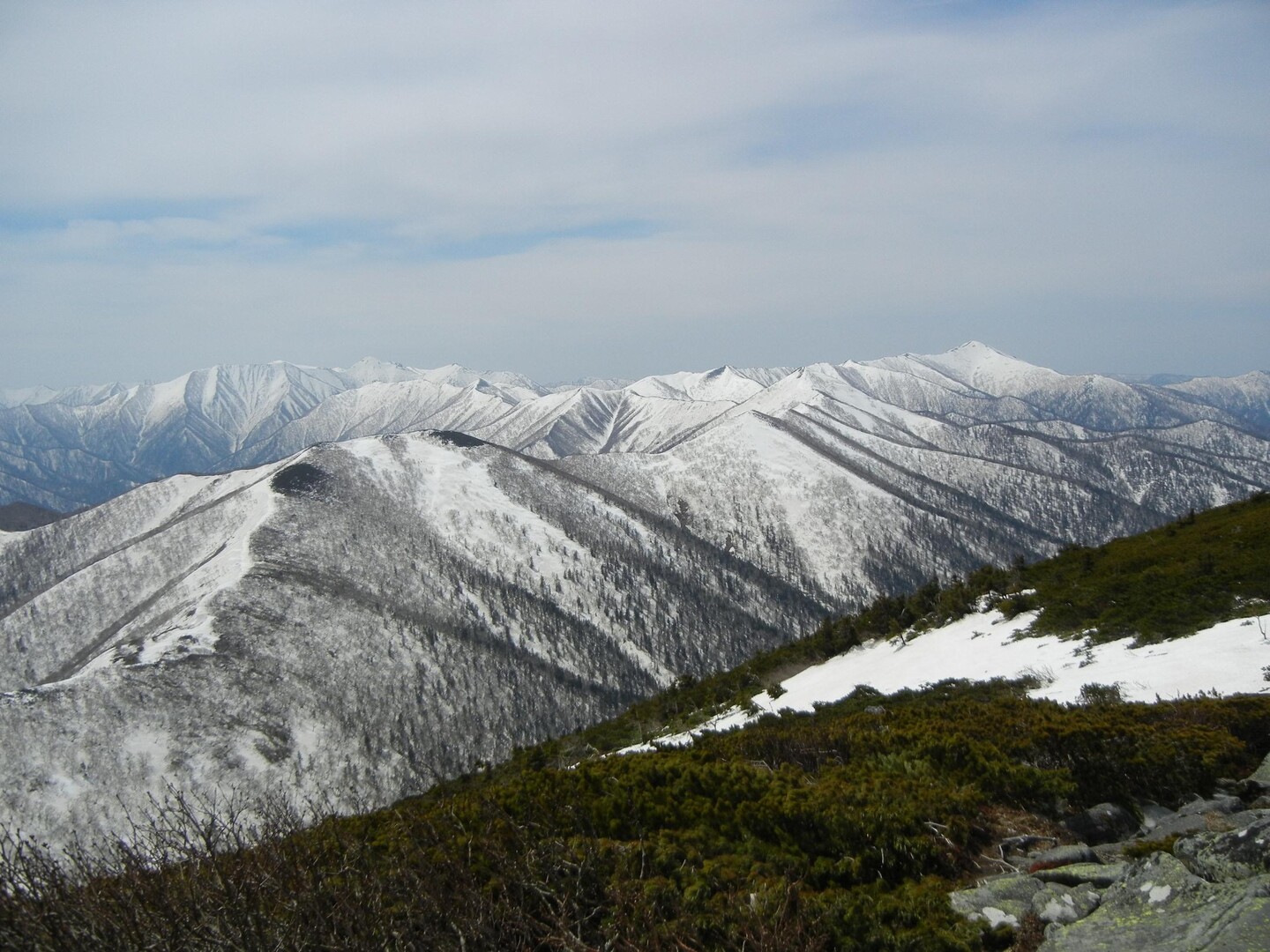 強風の芽室岳 / エタ6さんの芽室岳・久山岳・剣山の活動データ | YAMAP / ヤマップ