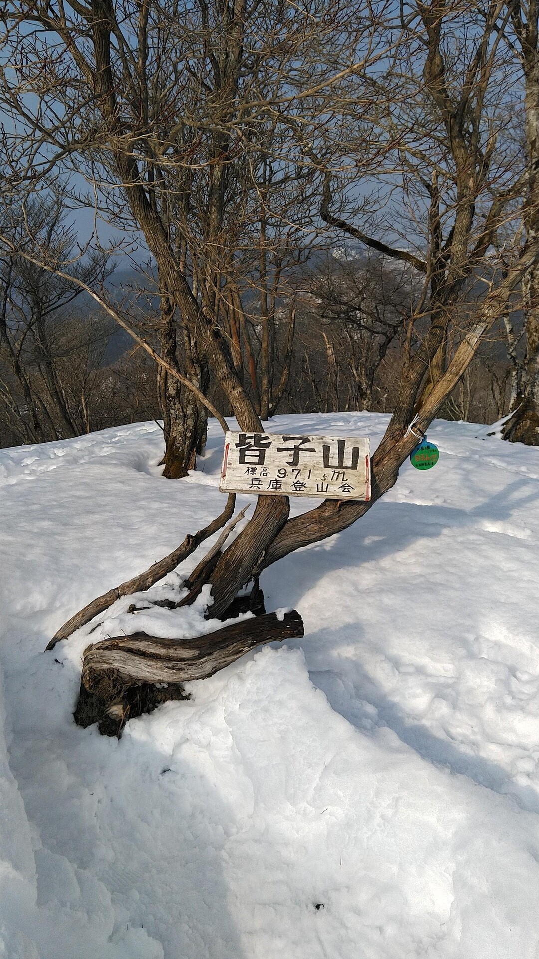 皆子山 / R.hondaさんのハイキングの活動データ | YAMAP / ヤマップ