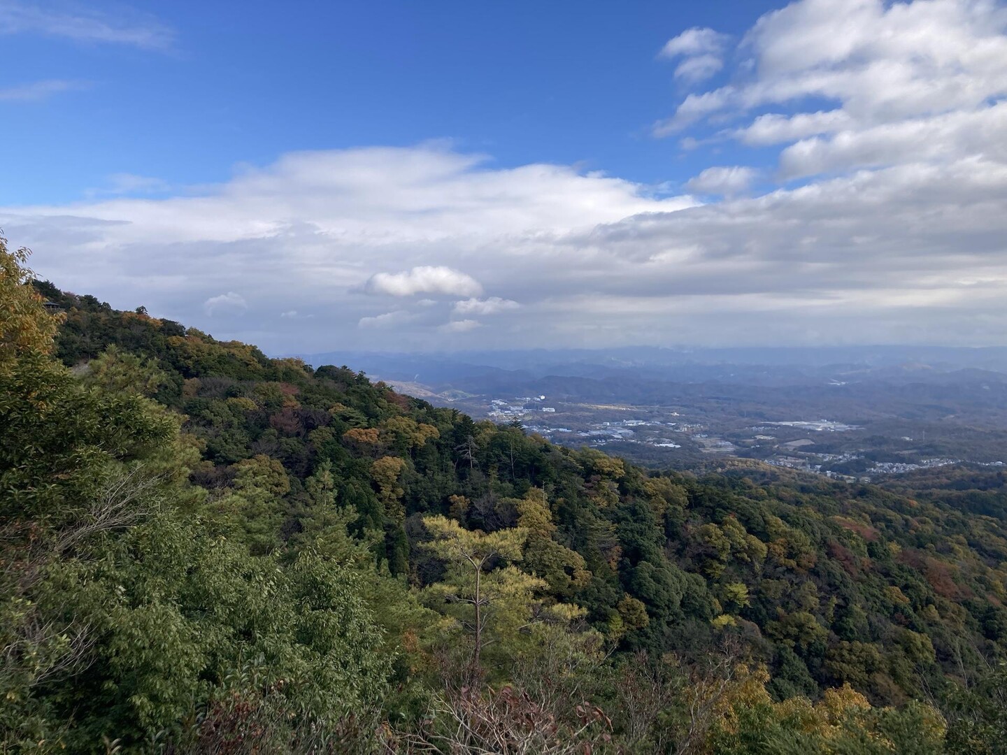 猿投山⛰️ / tom 〜還暦低山ハイカー〜さんの猿投山・物見山の活動データ | YAMAP / ヤマップ