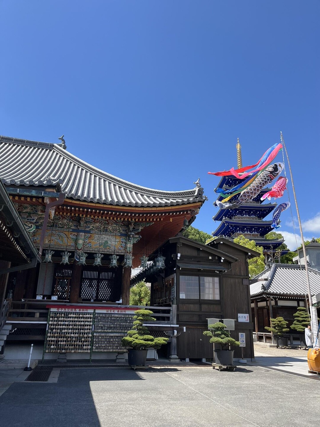 宝塚ロックガーデン🪨〜中山山頂🏔️ / よっしーさんの中山・大峰山の活動データ | YAMAP / ヤマップ