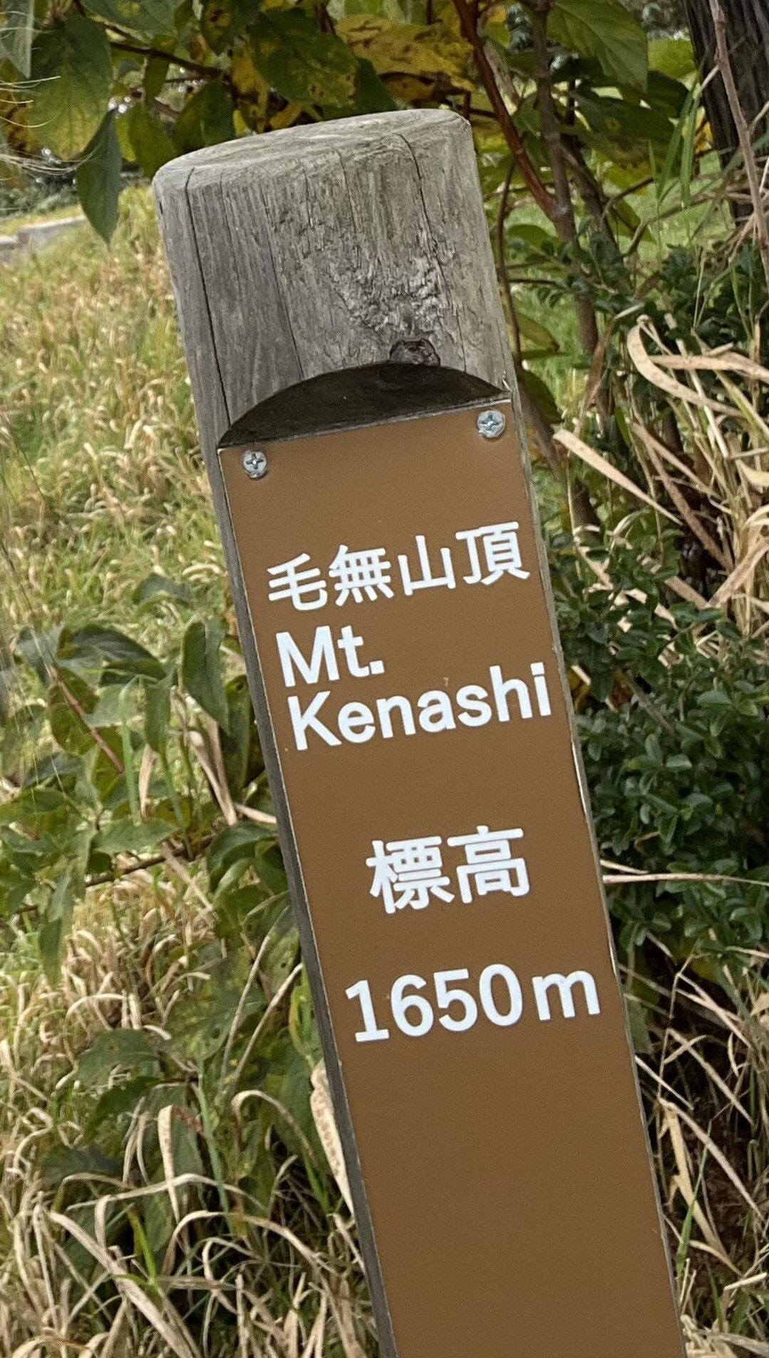 ゲレンデを登る—毛無山 / reiko^^さんの毛無山の活動データ | YAMAP / ヤマップ