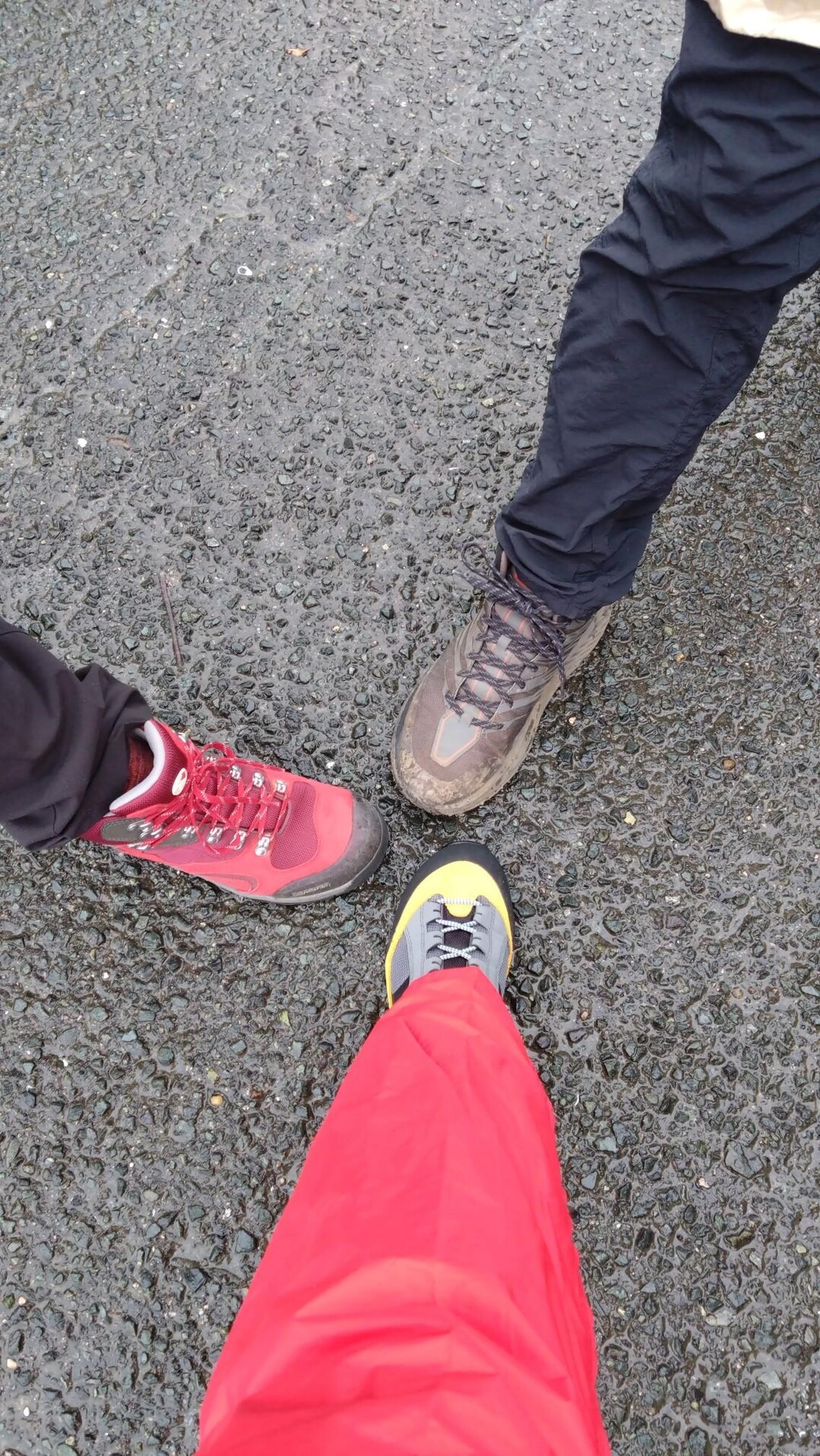 宮地山・在自山・水落山・対馬見山 / むぎ(GA)さんの宮地山・在自山の活動日記 | YAMAP / ヤマップ