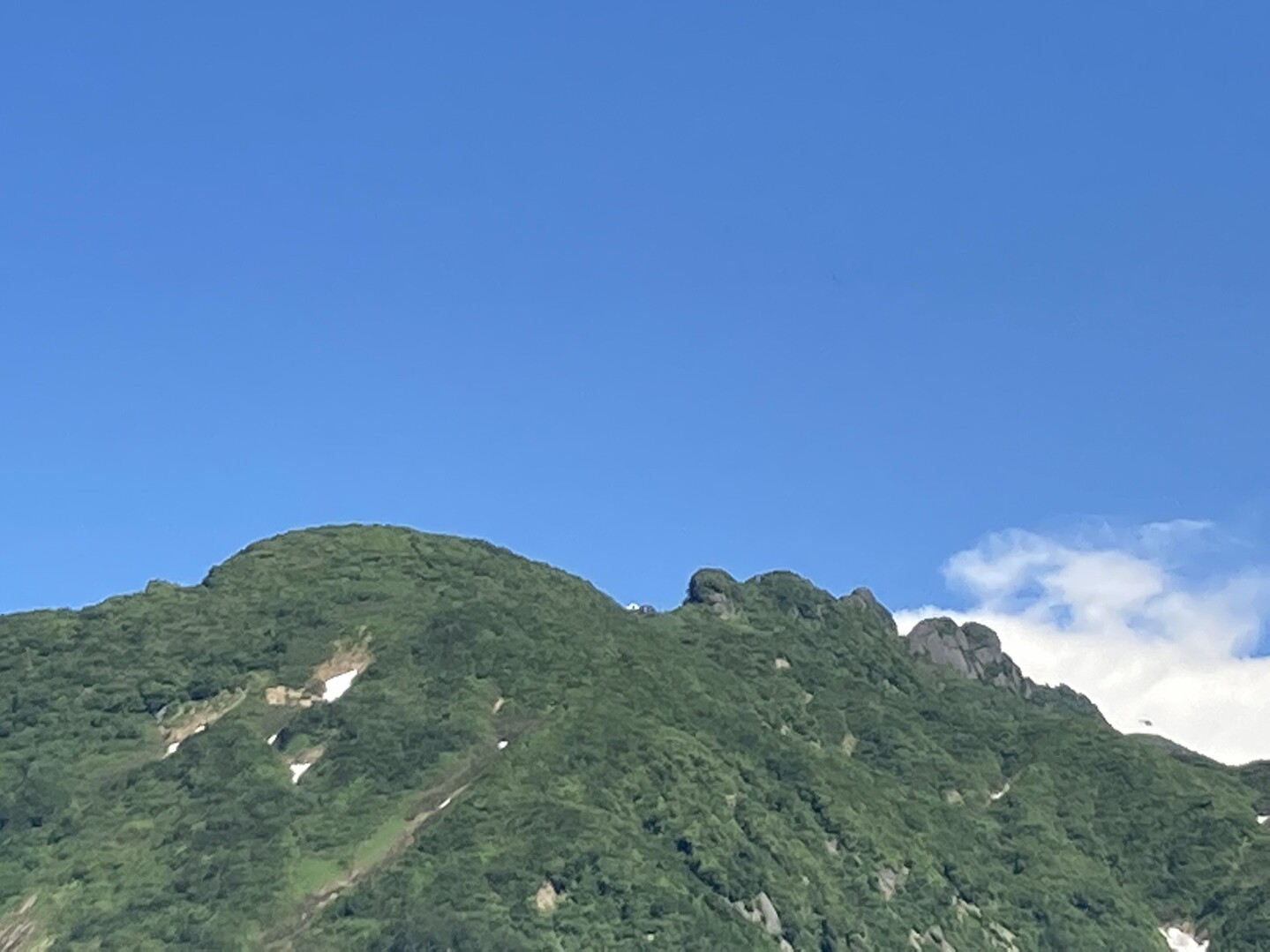 八海山（池ノ峰・浅草岳・薬師岳・千本檜小屋まで） / ゆかさんの越後駒ヶ岳・八海山・荒沢岳の活動データ | YAMAP / ヤマップ