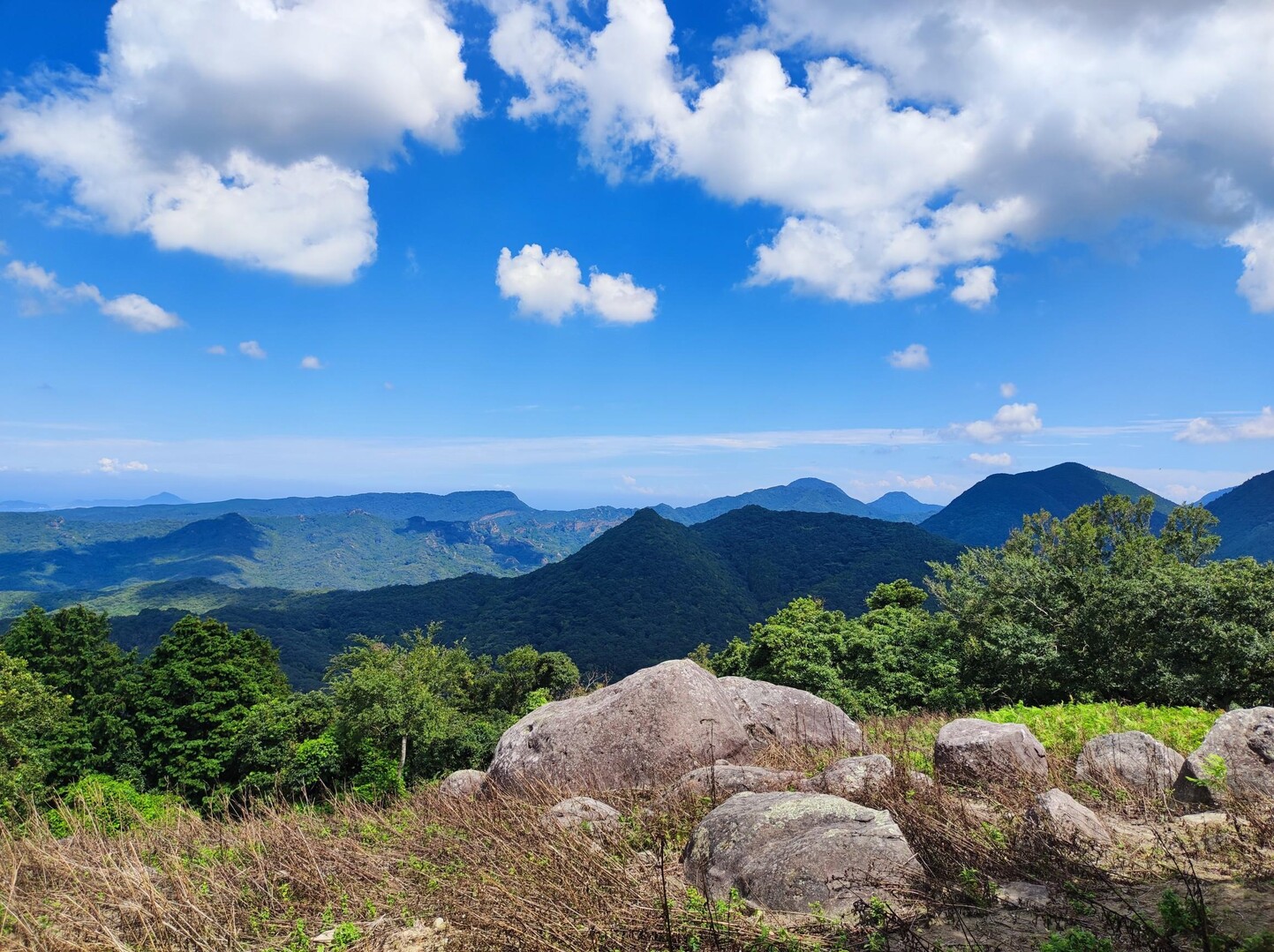 猪群山 / minさんの猪群山の活動データ | YAMAP / ヤマップ