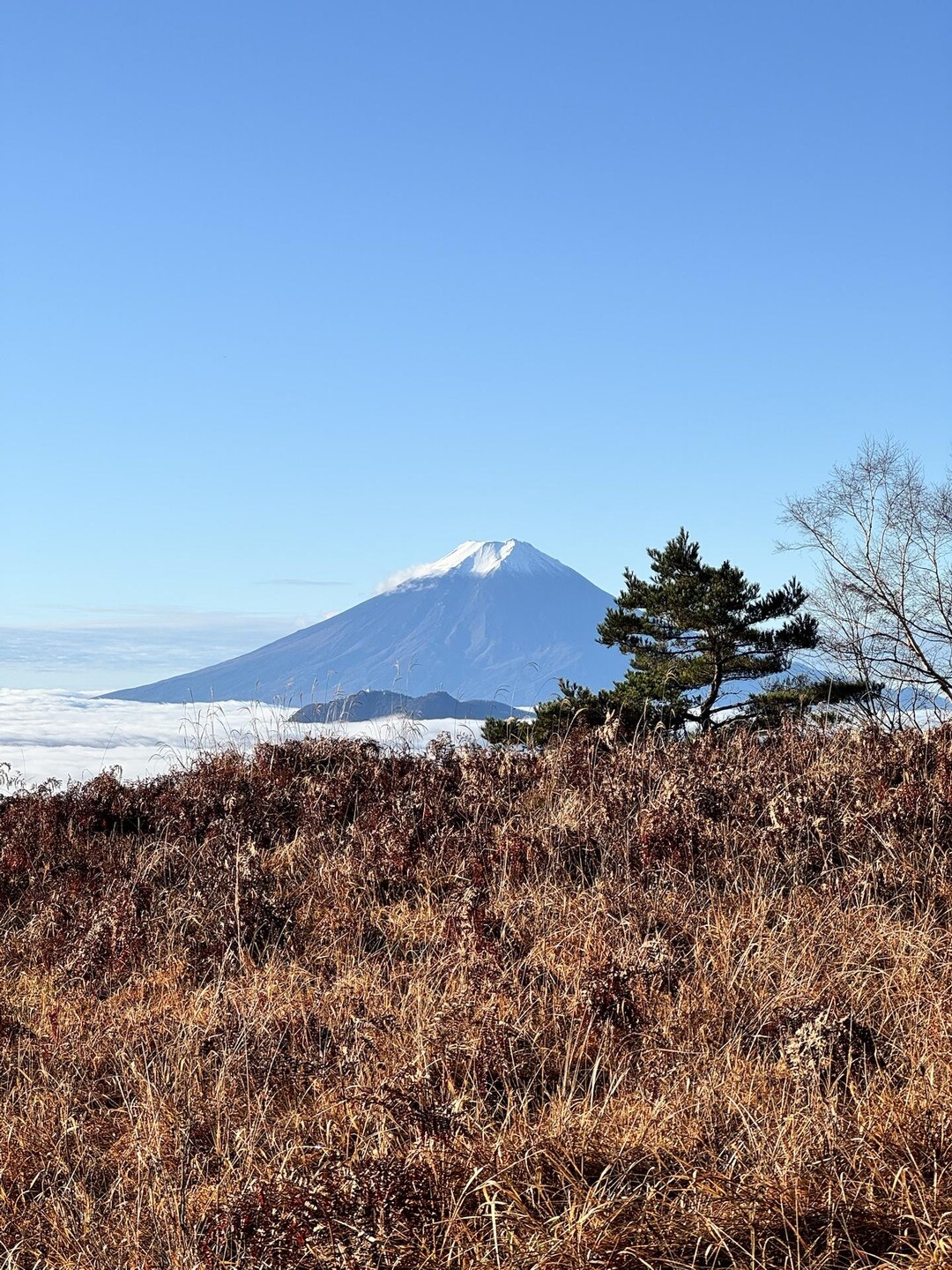 信玄公バッジ「⛰️」ハマイバ丸 / chi._.さんの雁ヶ腹摺山・岩殿山の活動データ | YAMAP / ヤマップ