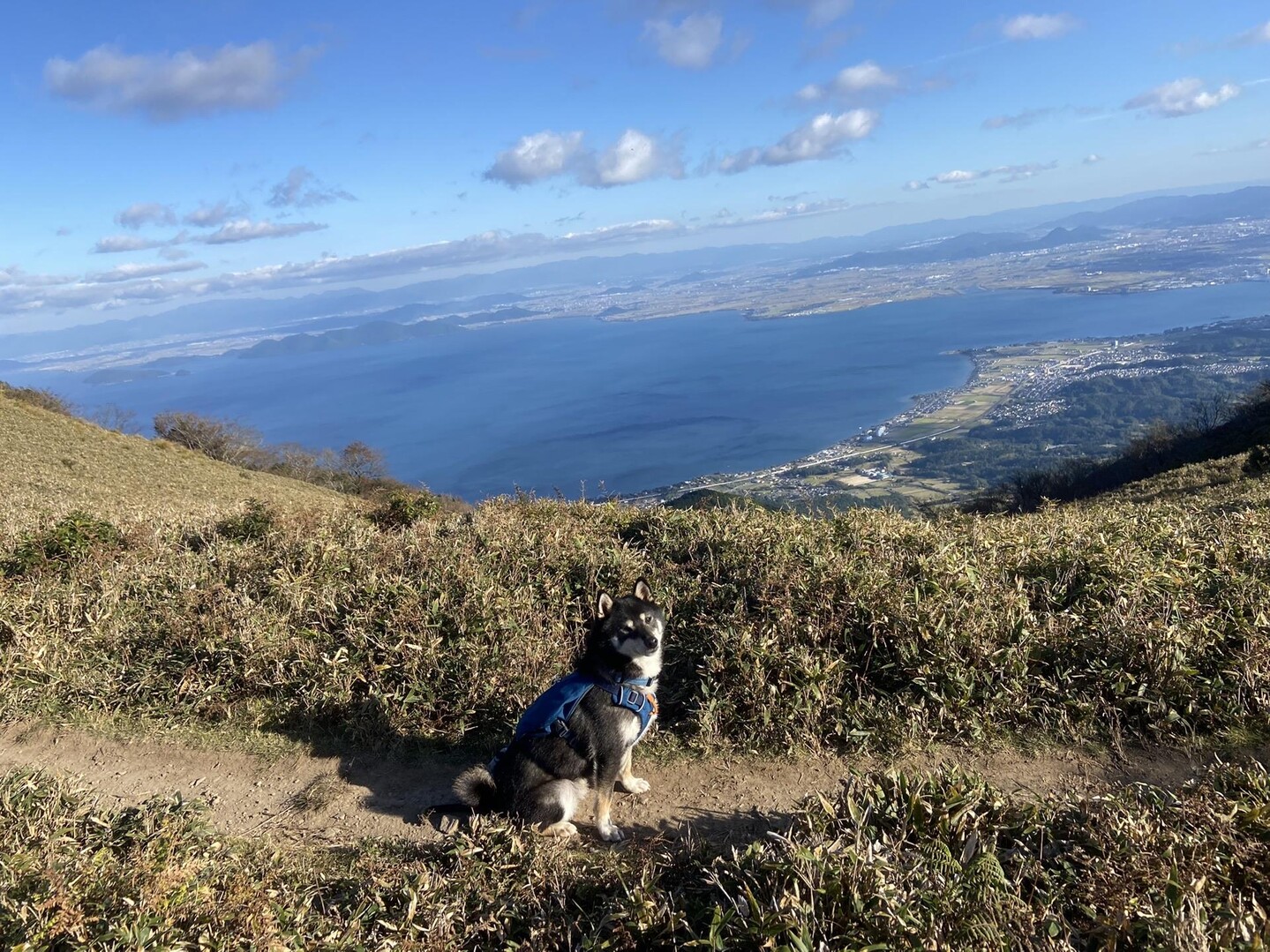 紅葉を 撮影し過ぎて バッテリ切れ / Corchanさんの比良山地・武奈ヶ岳・釈迦岳の活動データ | YAMAP / ヤマップ