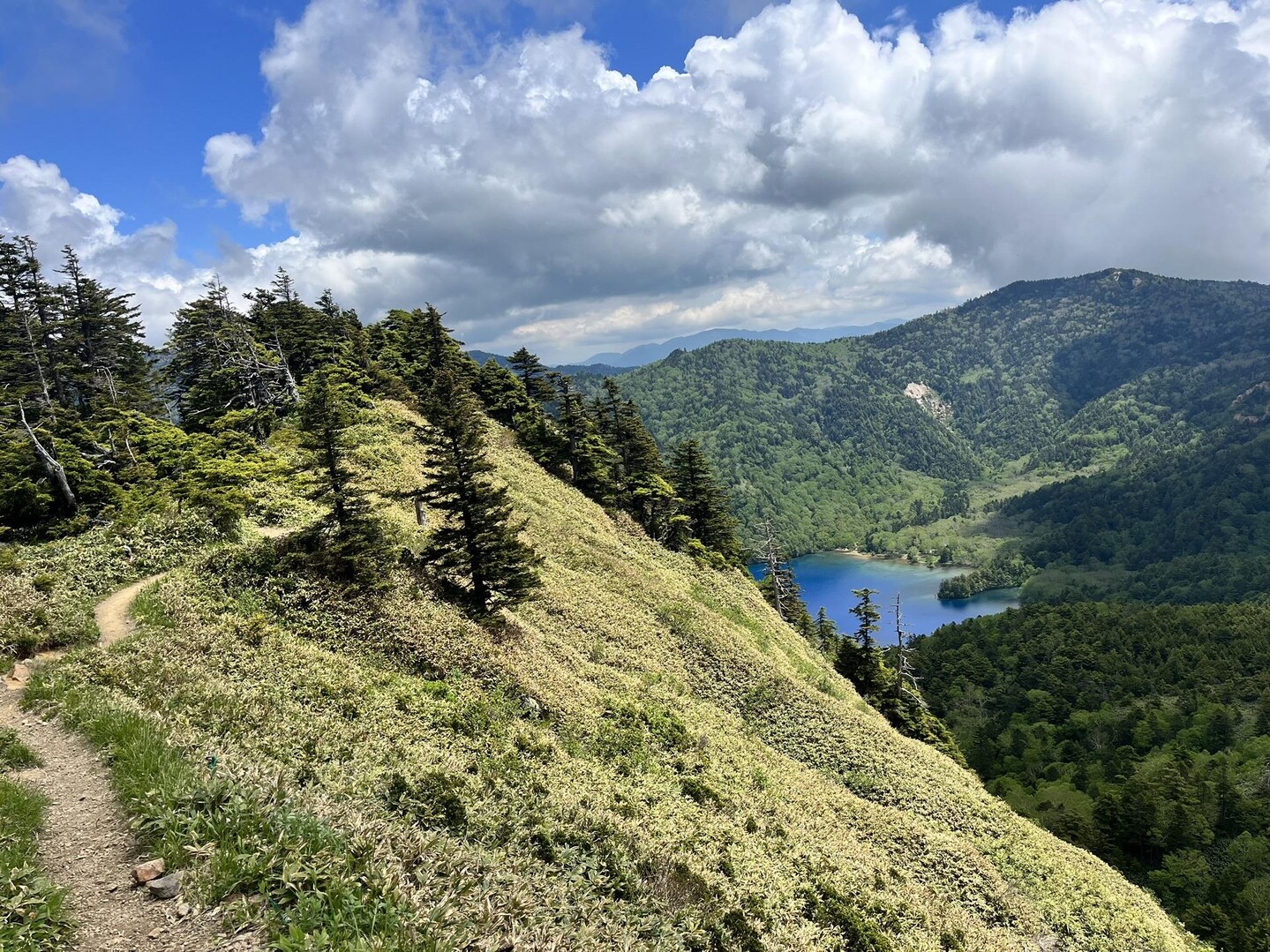 前山・志賀山・裏志賀山へ🐾 / hachacha-umemeさんの横手山・志賀山・赤石山の活動データ | YAMAP / ヤマップ