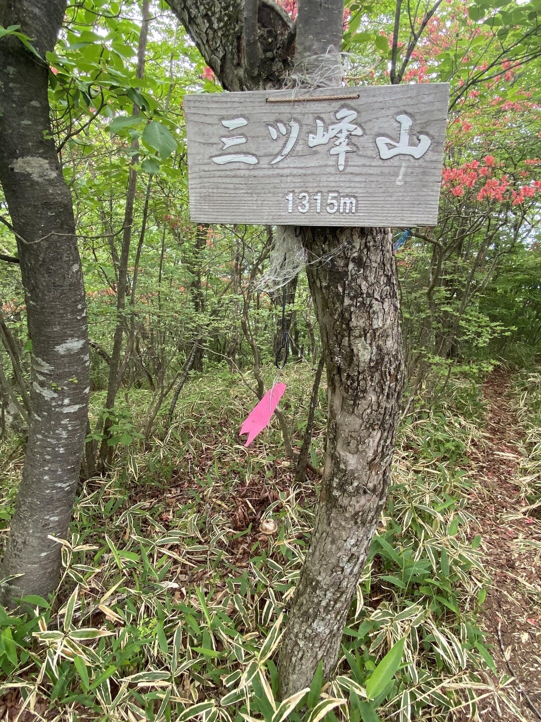 Nmamaさんの投稿したフィールドメモ | YAMAP / ヤマップ