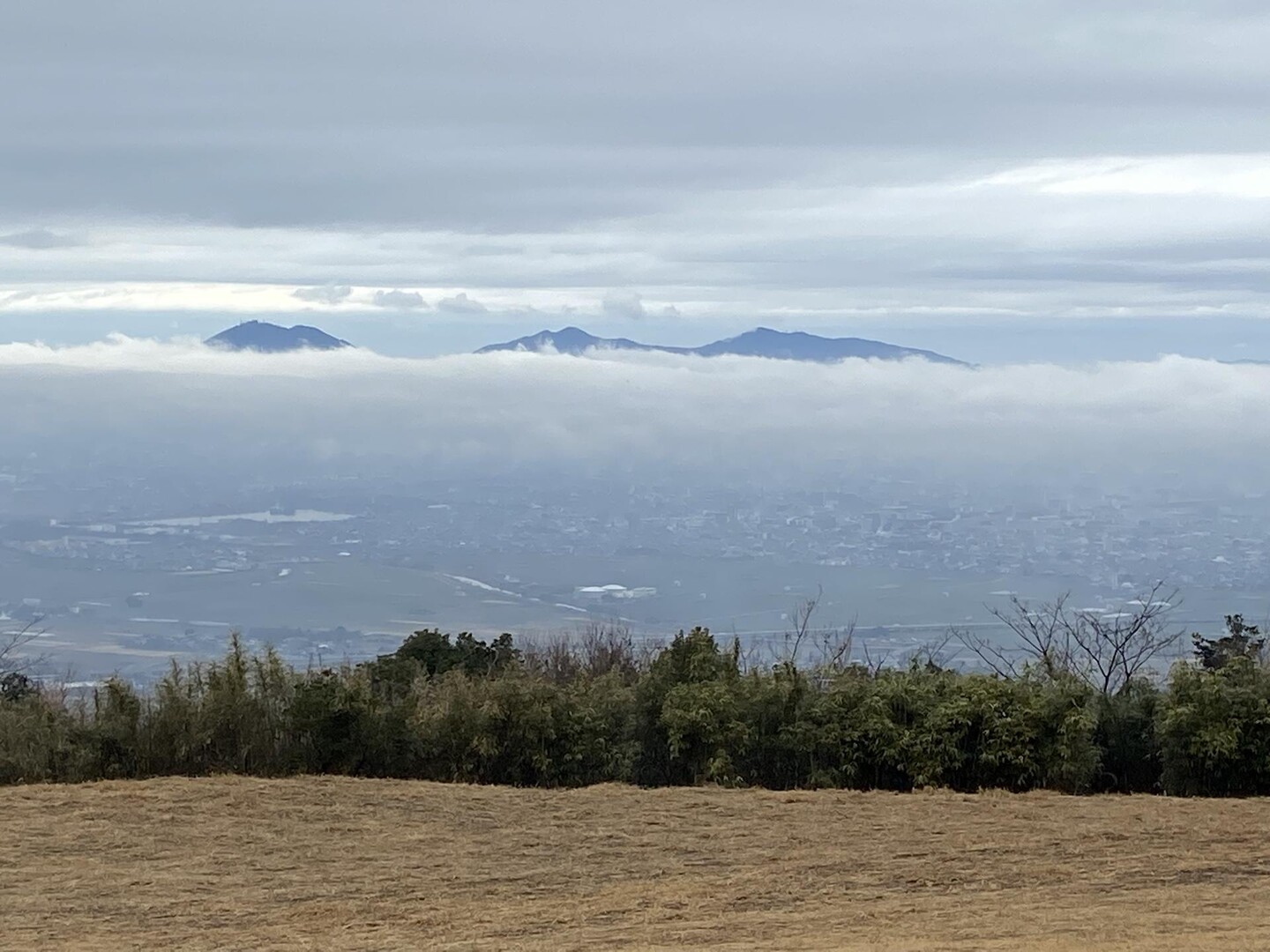 飯田山 / KudoMさんの飯田山の活動データ | YAMAP / ヤマップ