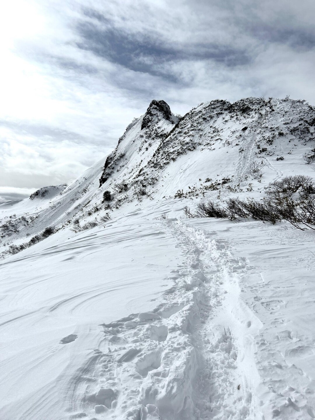 武尊山 - 山頂目前で撤退 / JOJOさんの武尊山・鹿俣山・尼ヶ禿山の活動日記 | YAMAP / ヤマップ