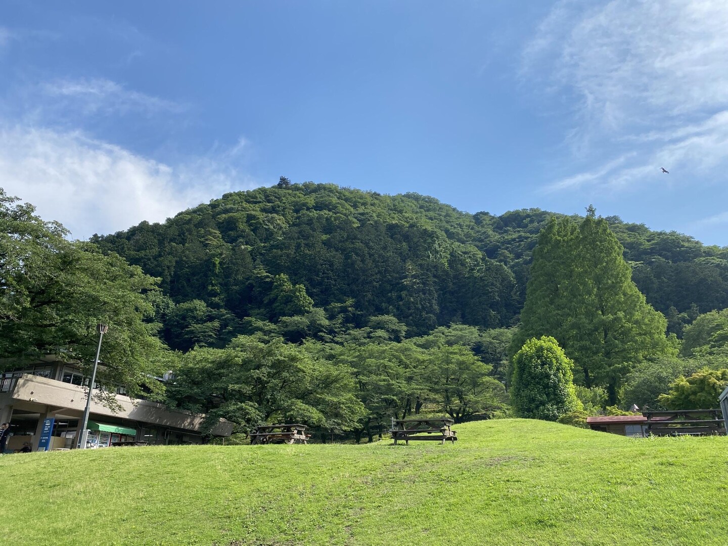 津久井湖城山公園（神奈川） / エイジ1964さんの仙洞寺山・南山・津久井堂所山の活動データ | YAMAP / ヤマップ